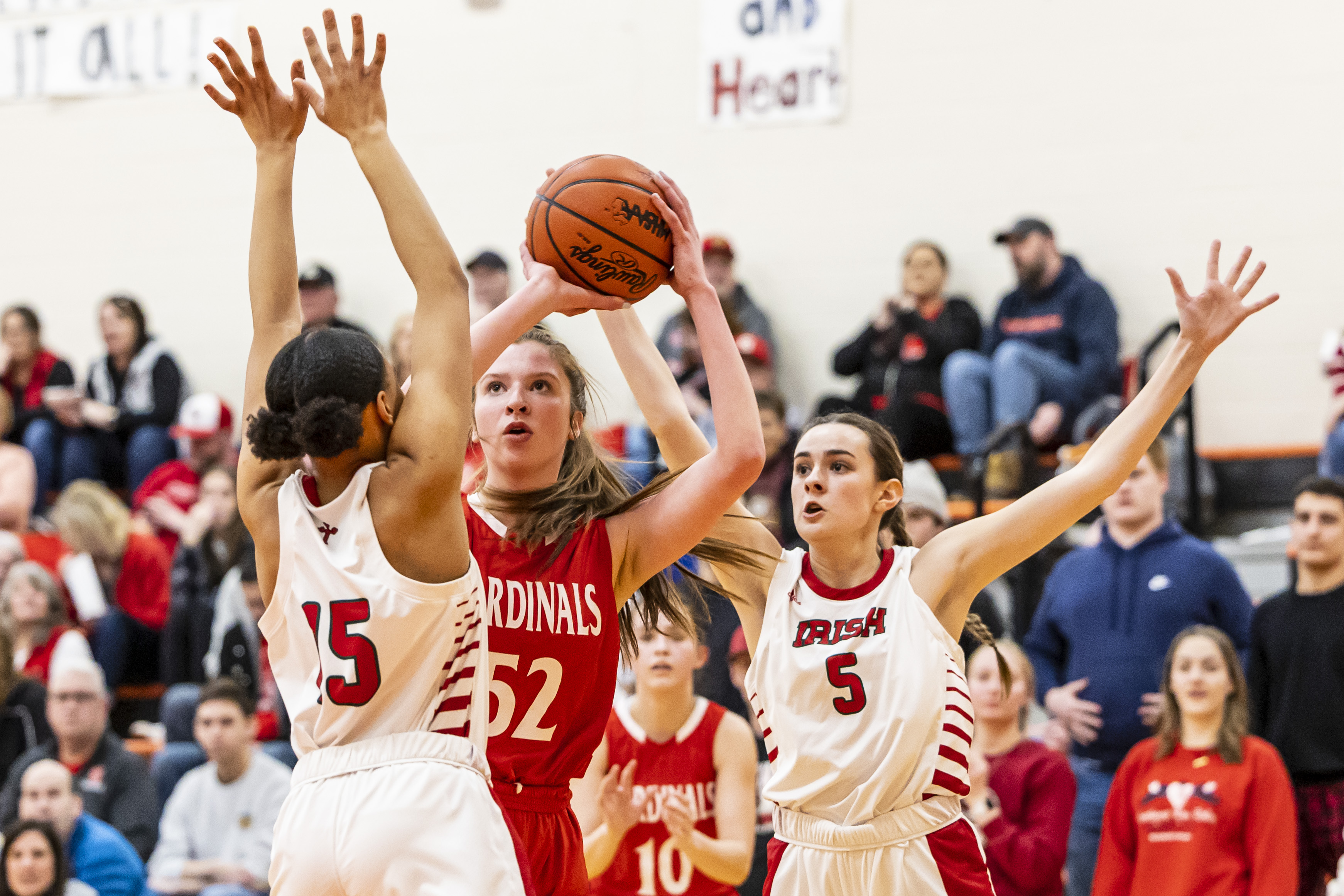 Michigan Lutheran Seminary faces Mount Pleasant Sacred Heart in ...