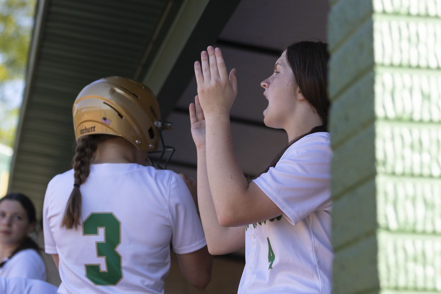 See photos of the split softball doubleheader between Lumen Christi and ...