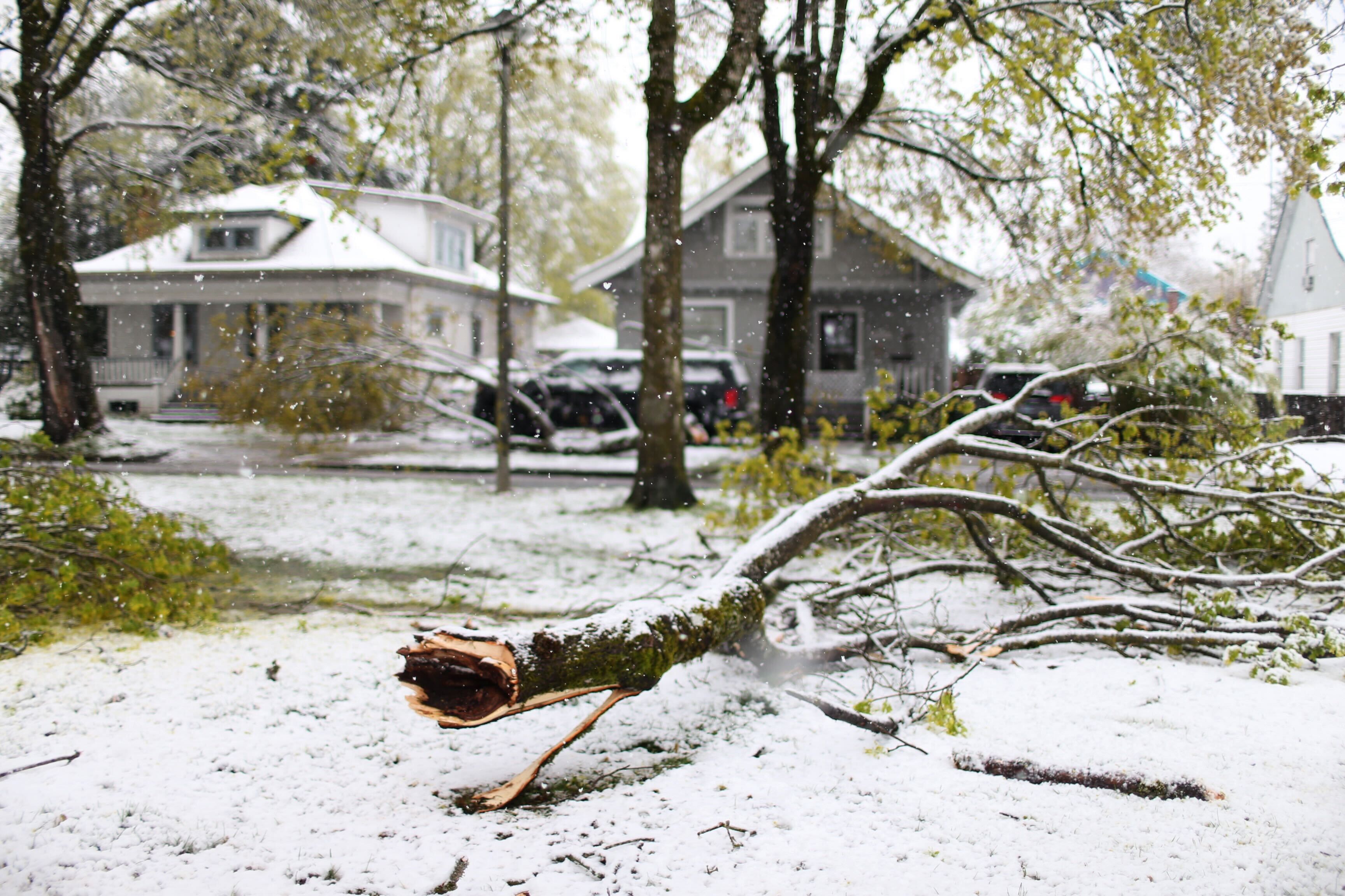Portland snow April 11, 2022 - oregonlive.com