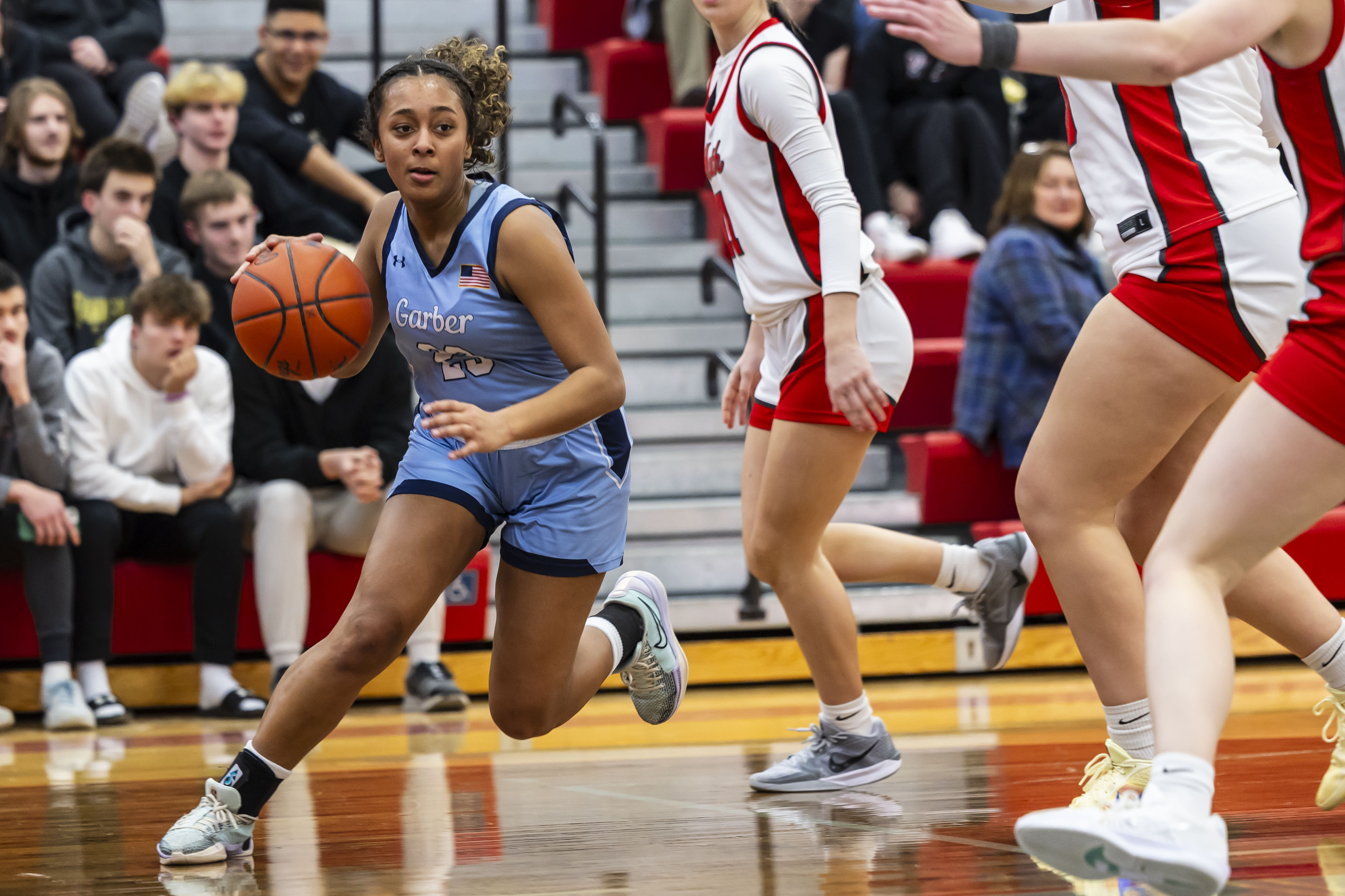Frankenmuth girls basketball hosts Garber in district championship game ...