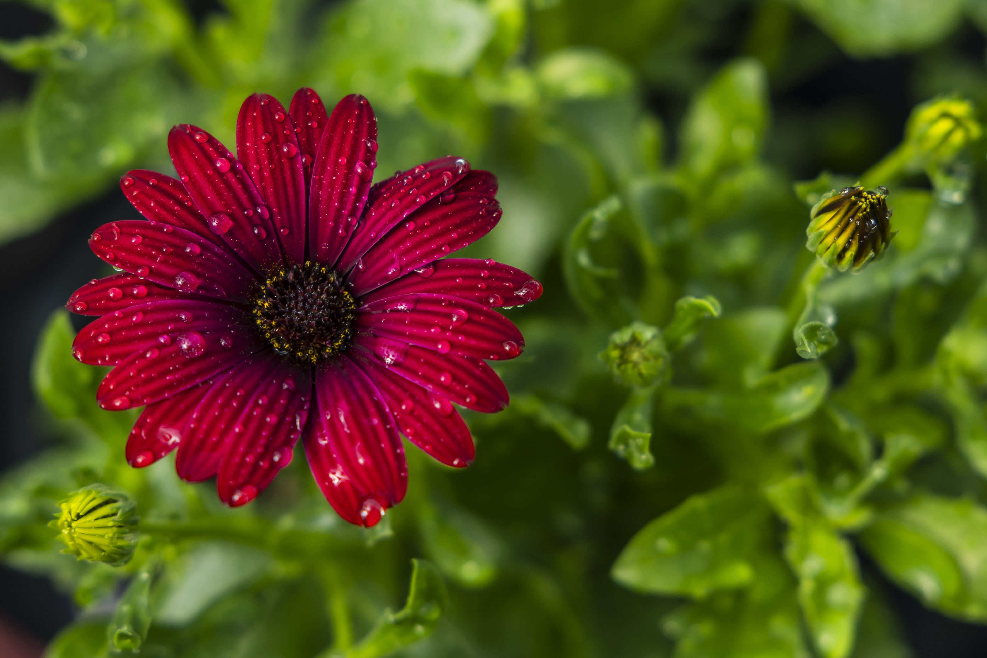 Rooted by Keits opens for 2024 season - mlive.com