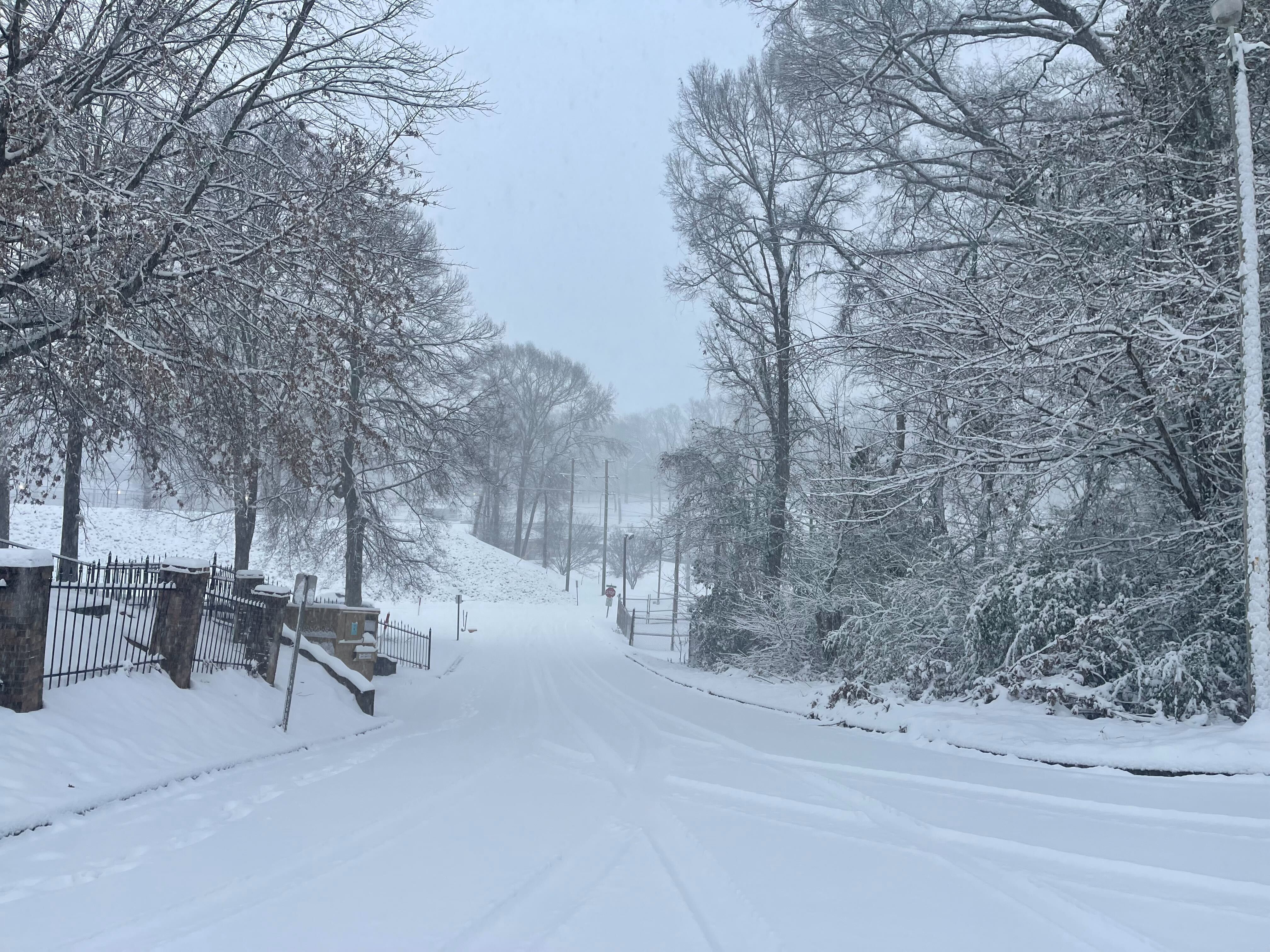 Snow in Alabama Jan. 10, 2025 - al.com