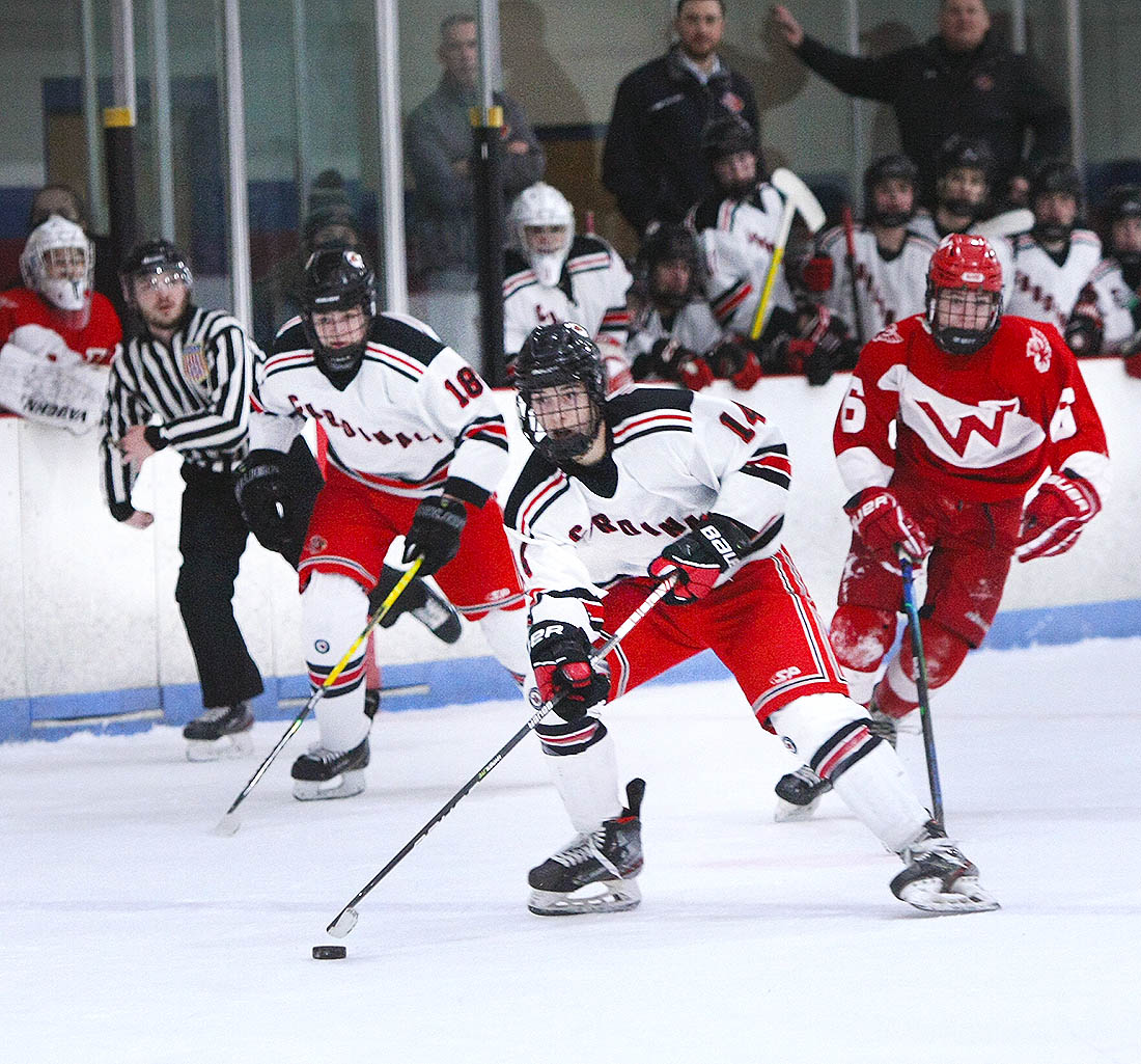 Waltham vs Pope Francis Hockey 3/3/22 - masslive.com