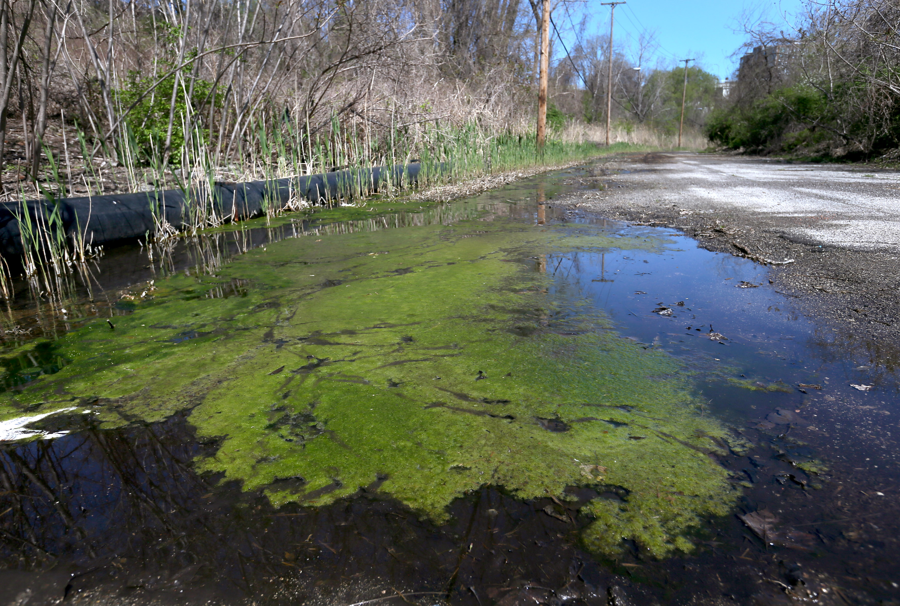 Irishtown Bend Park: History of an idea - cleveland.com