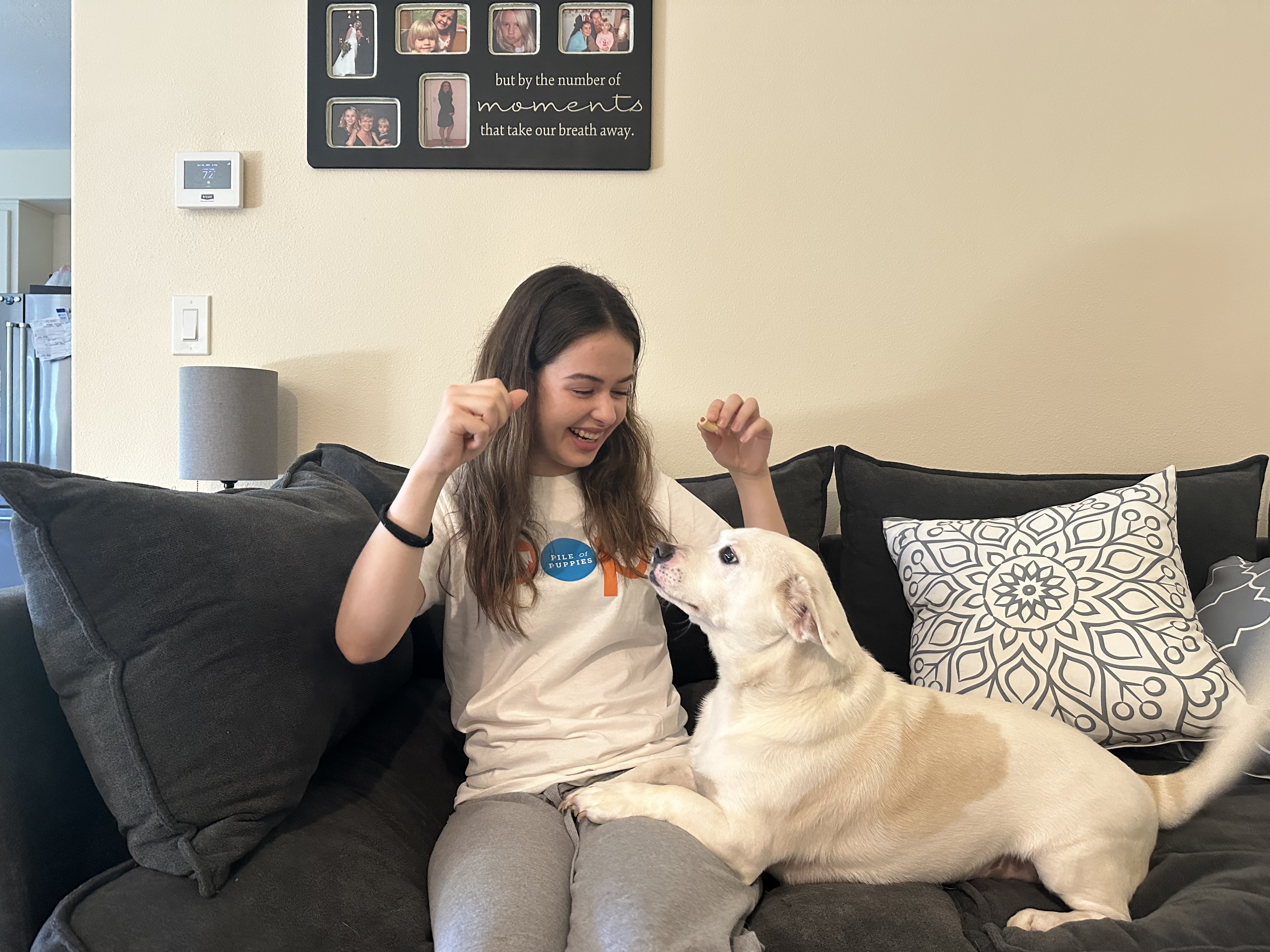 Season of Sharing 2025: Pile of Puppies - oregonlive.com