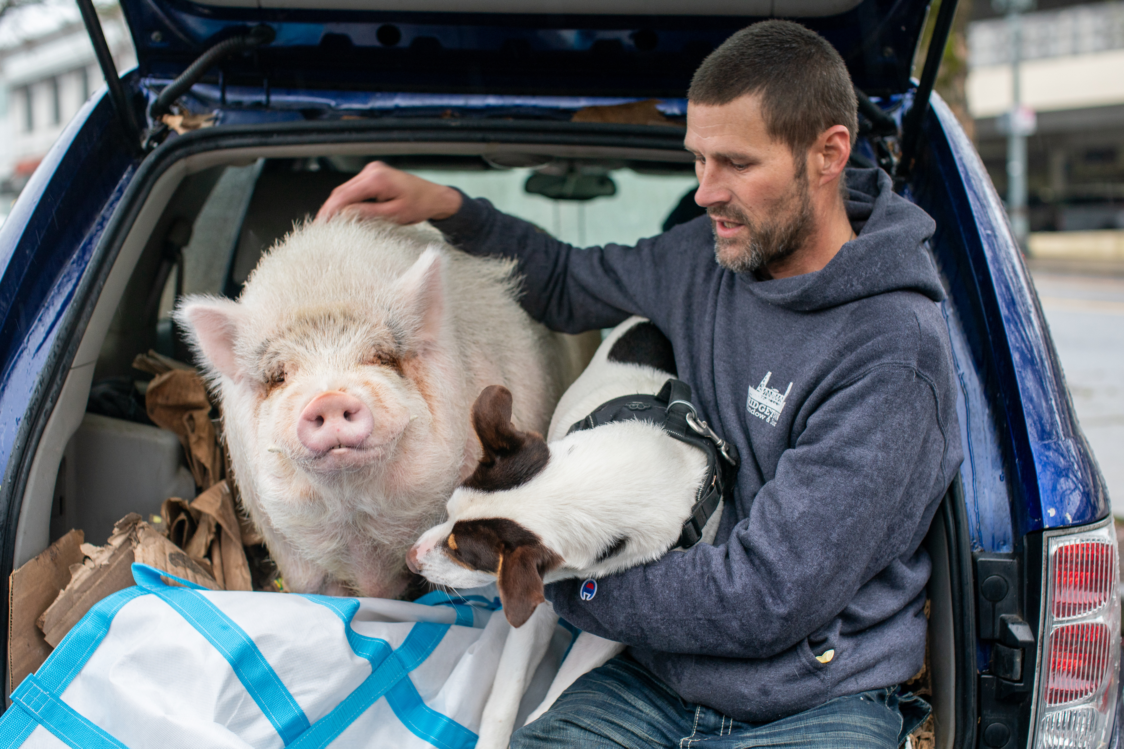 Veteran Tony James and his 250 pound pet pig - oregonlive.com