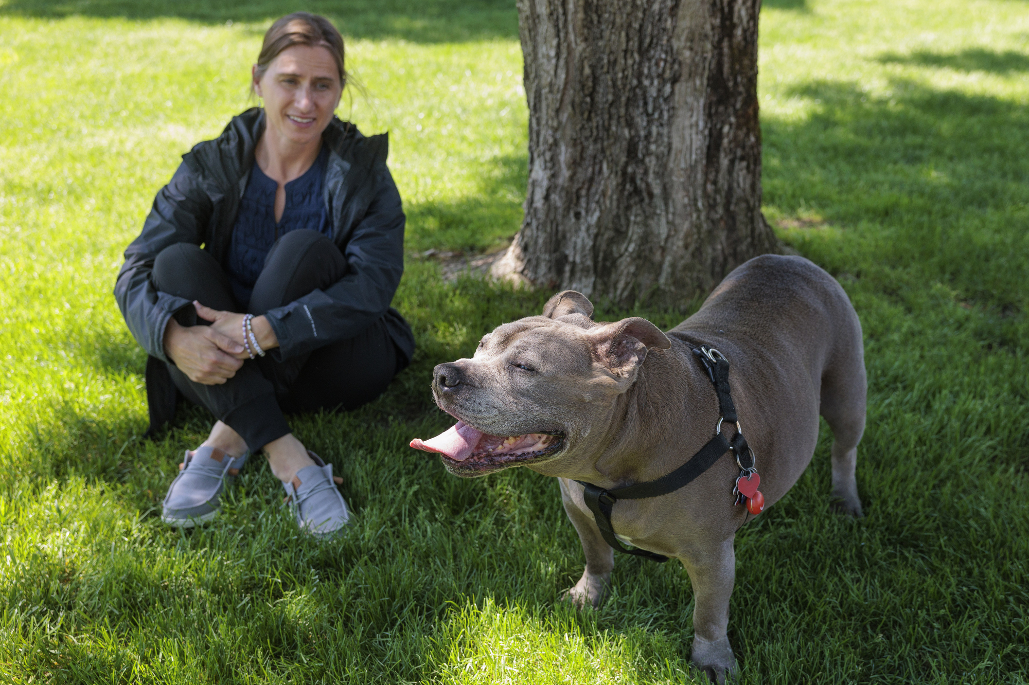 Lap of Love Veterinary Hospice offers end-of-life care for Ann Arbor ...