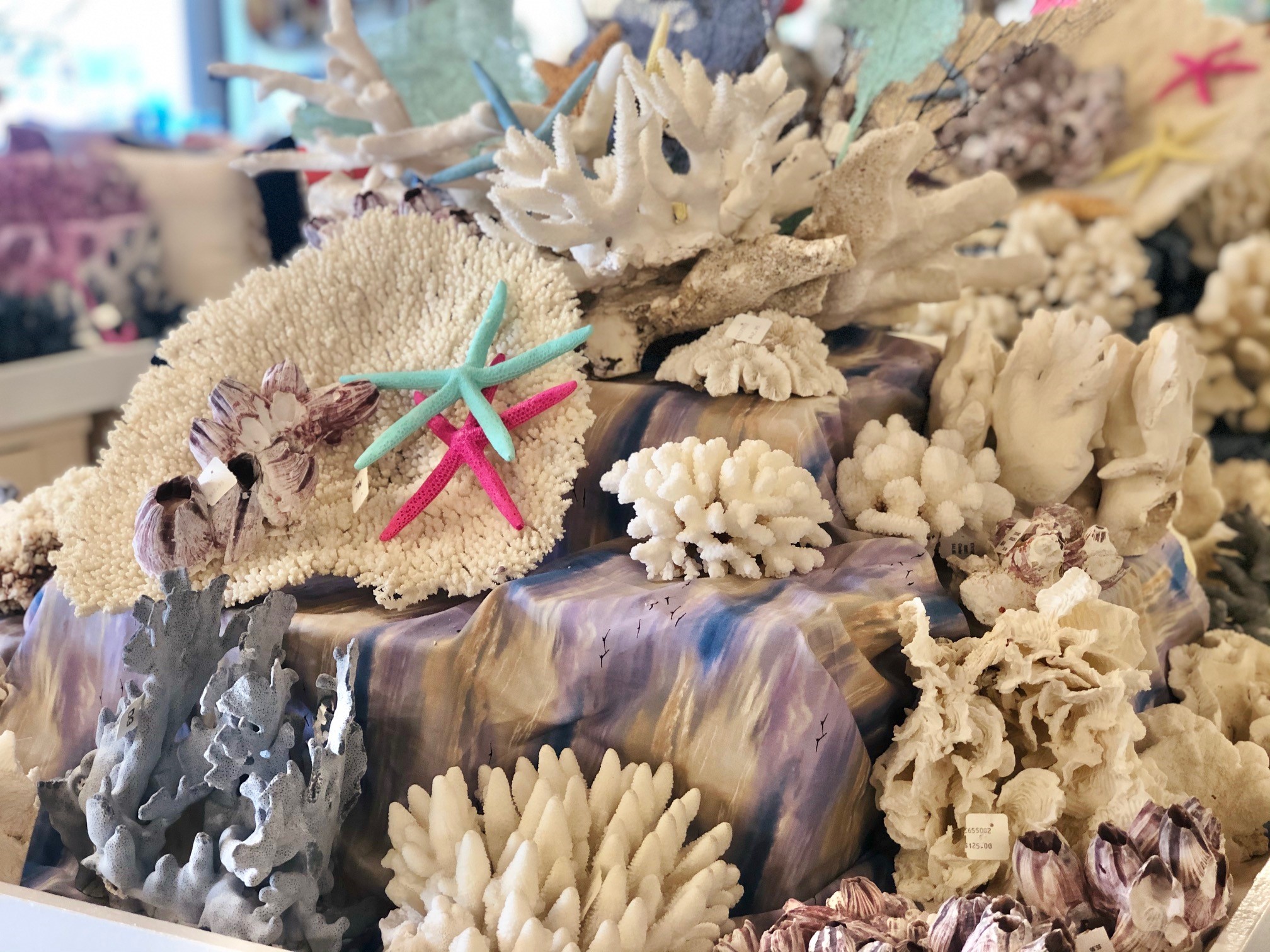 Sea Shell City in Cheboygan, Michigan - mlive.com