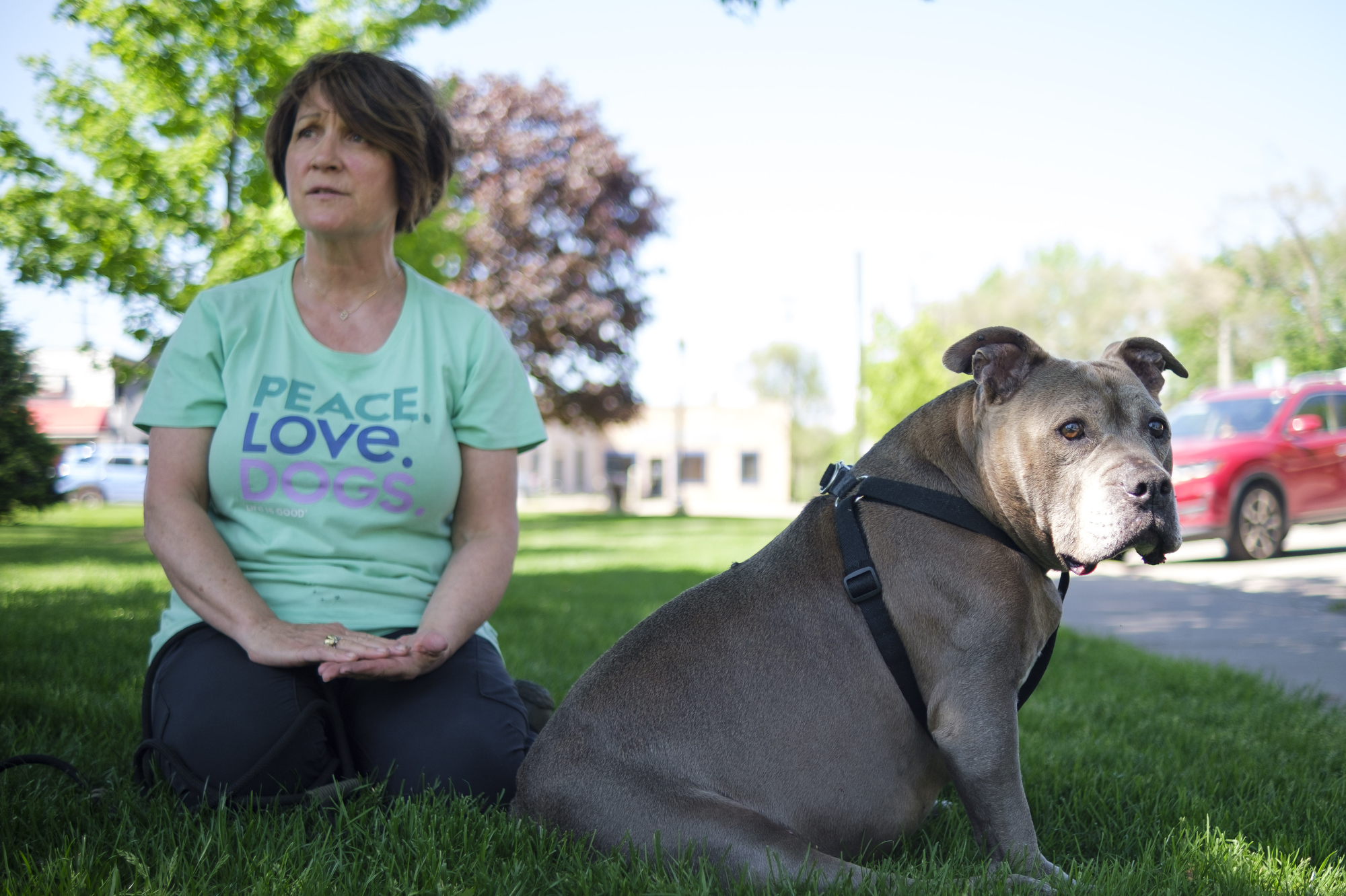 Lap of Love Veterinary Hospice offers end-of-life care for Ann Arbor ...