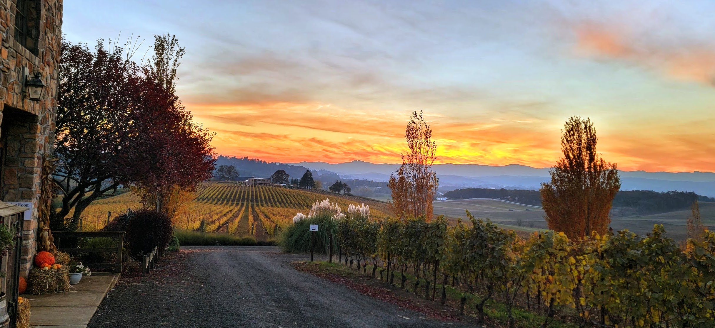 Lenné Estate winery is sold - oregonlive.com