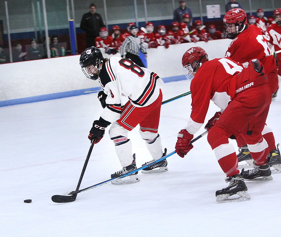 Waltham vs Pope Francis Hockey 3/3/22 - masslive.com