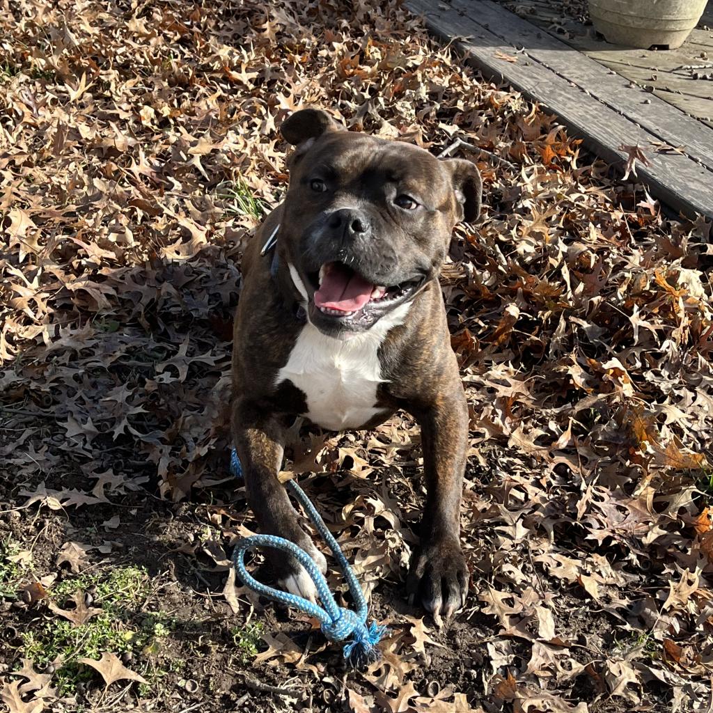 Early Spring? Let’s hope so. Open your doors to an adoptable pet. Feb 4 ...