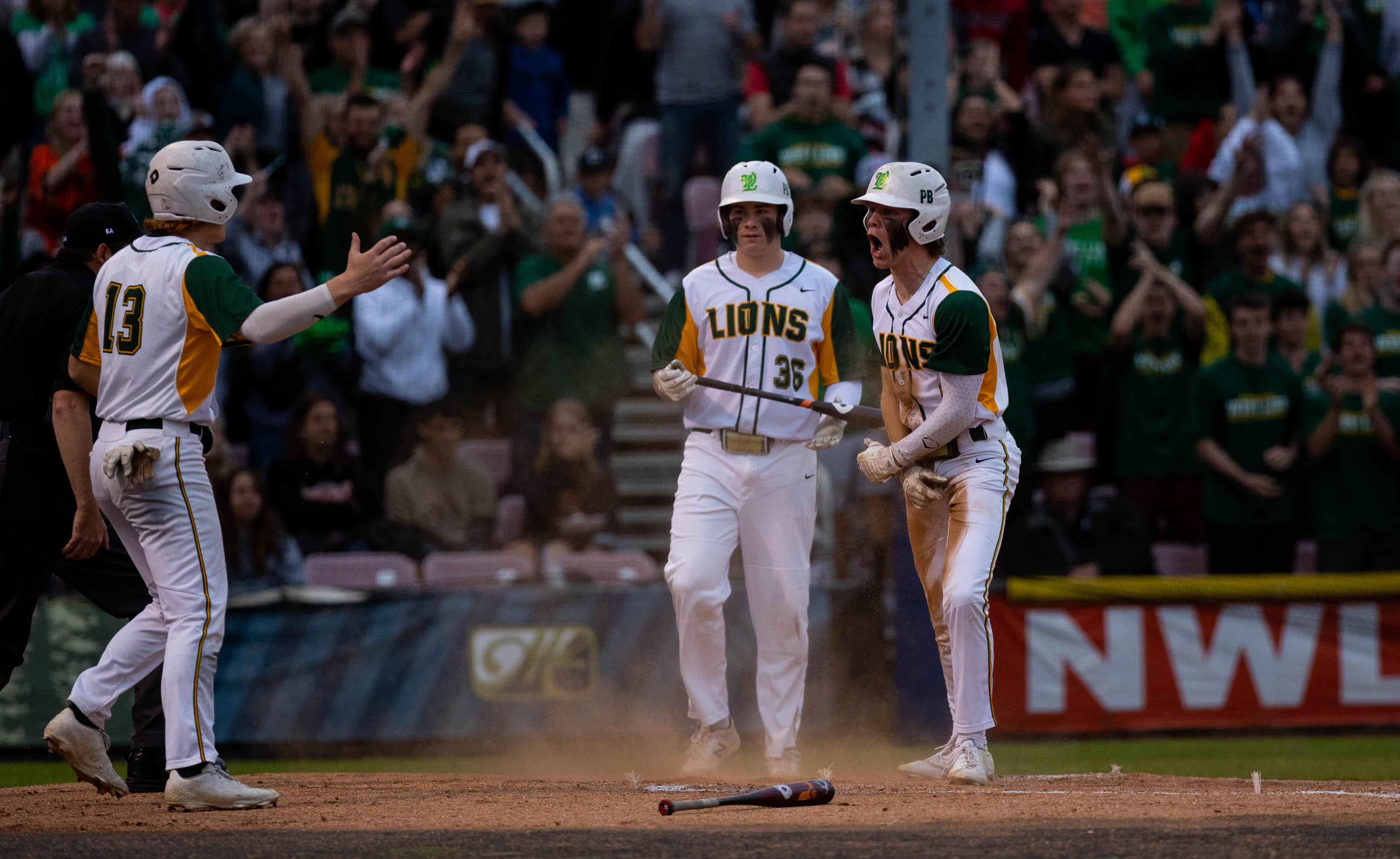 West Linn beats Canby for Class 6A baseball state championship ...