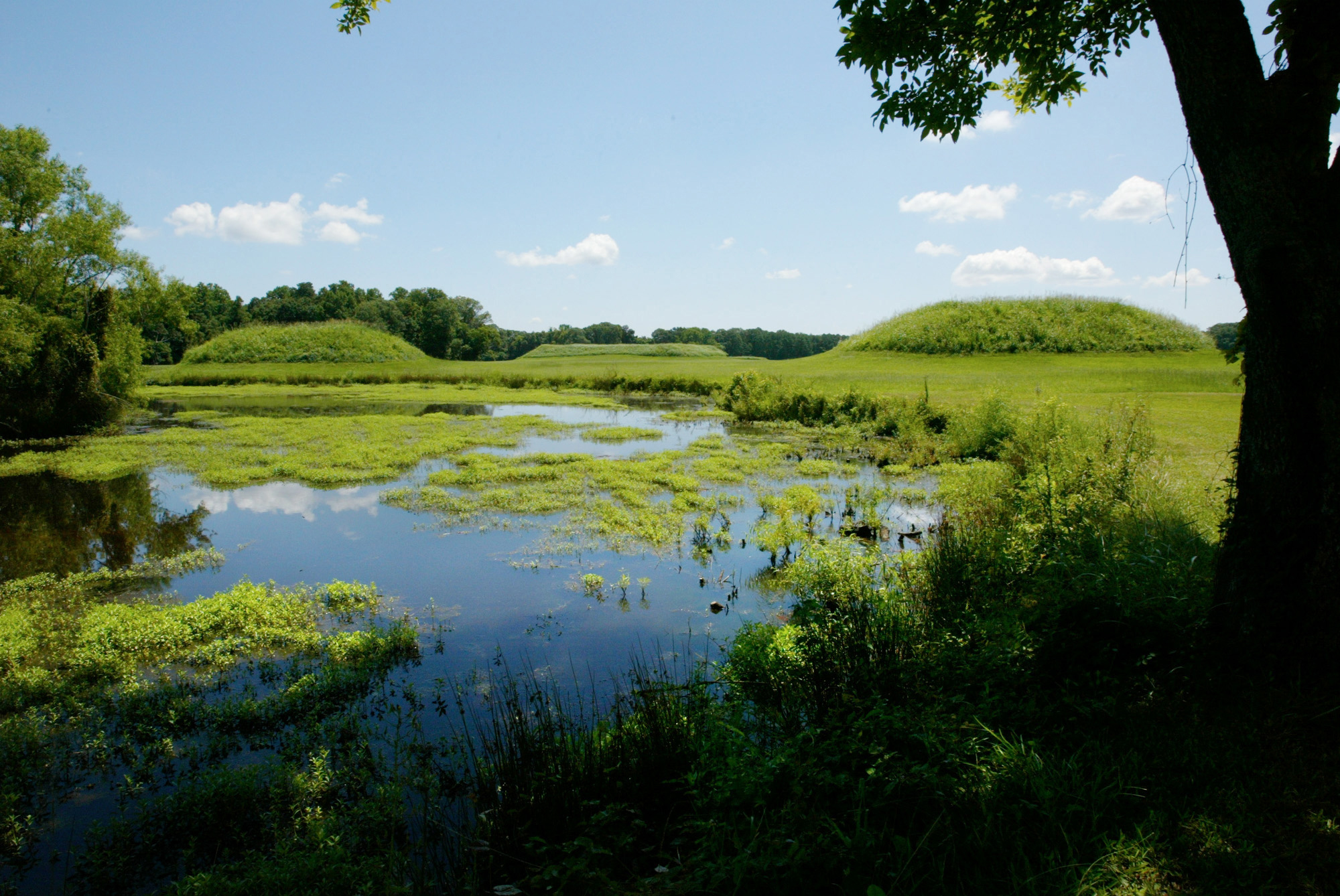 Ancient Alabama - The first Alabamians - al.com