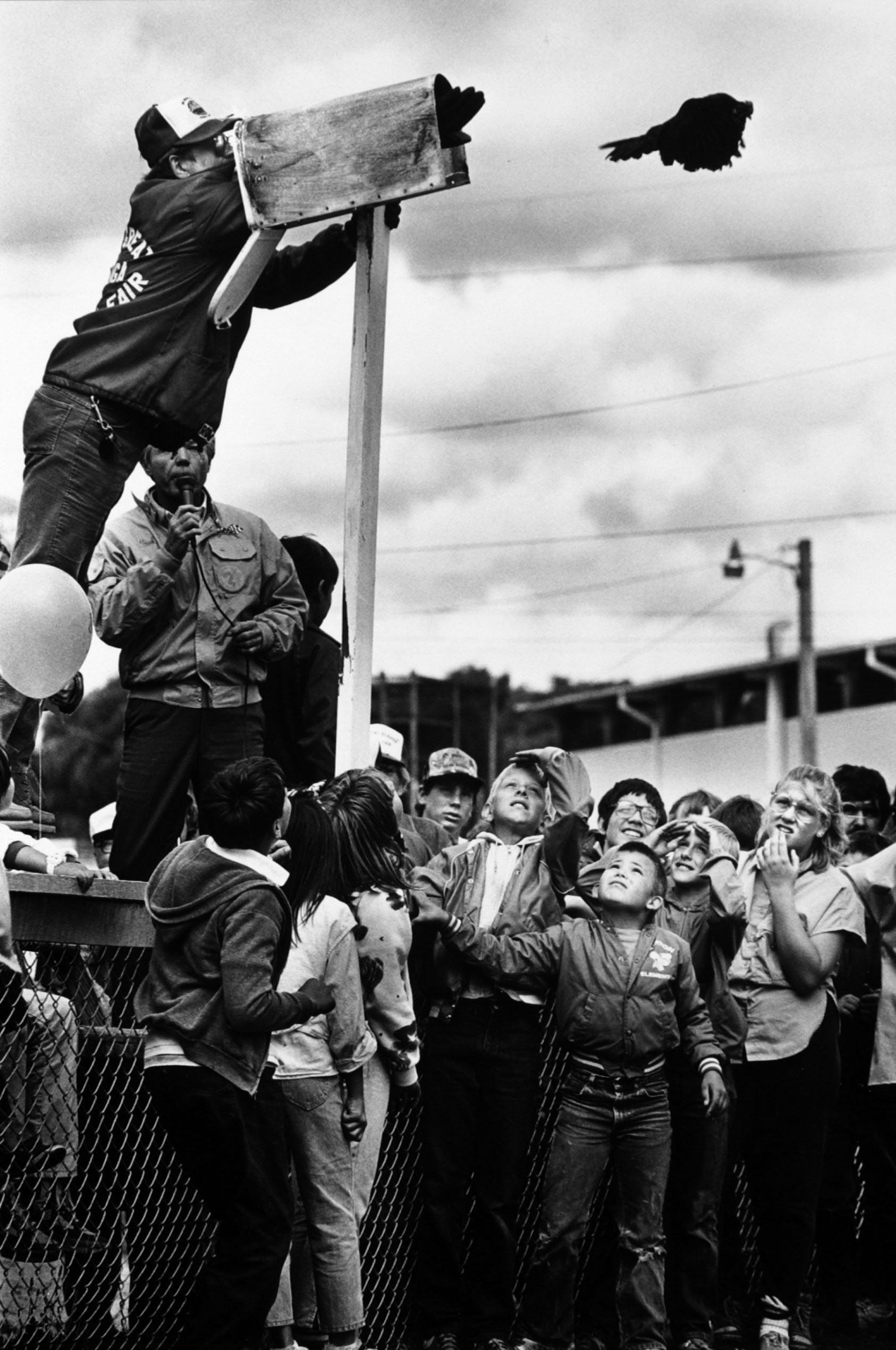 Dave Andersen's top photos - cleveland.com