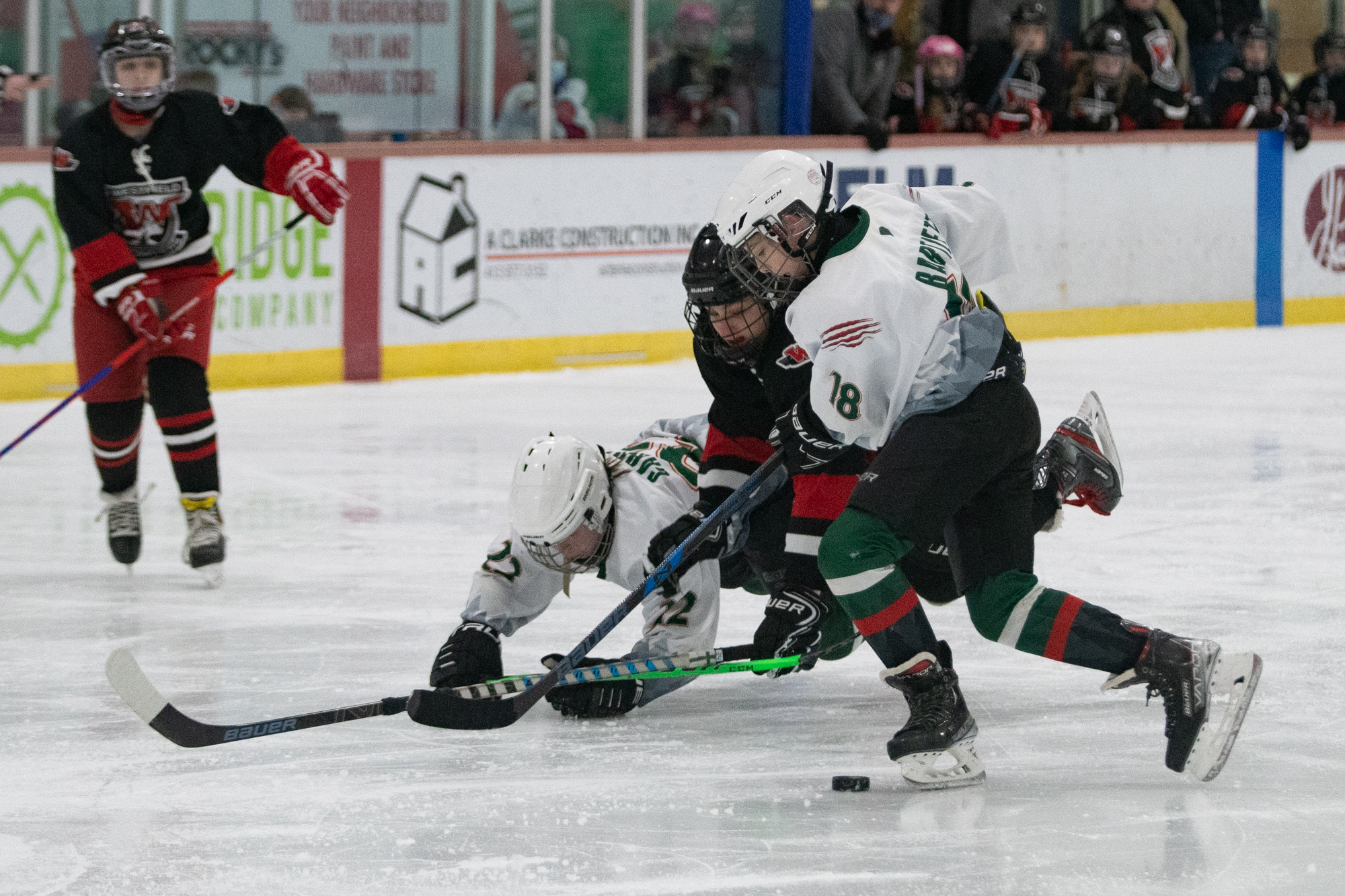 1-16-22 Westfield Youth Hockey Fire & Ice Tournament - Pee Wee Group B ...