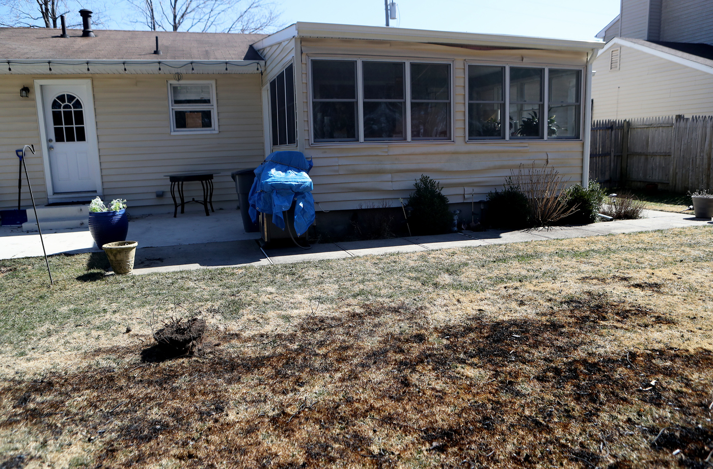 Damage from large brush fire in Brick and Lakewood, March 15, 2021 - nj.com
