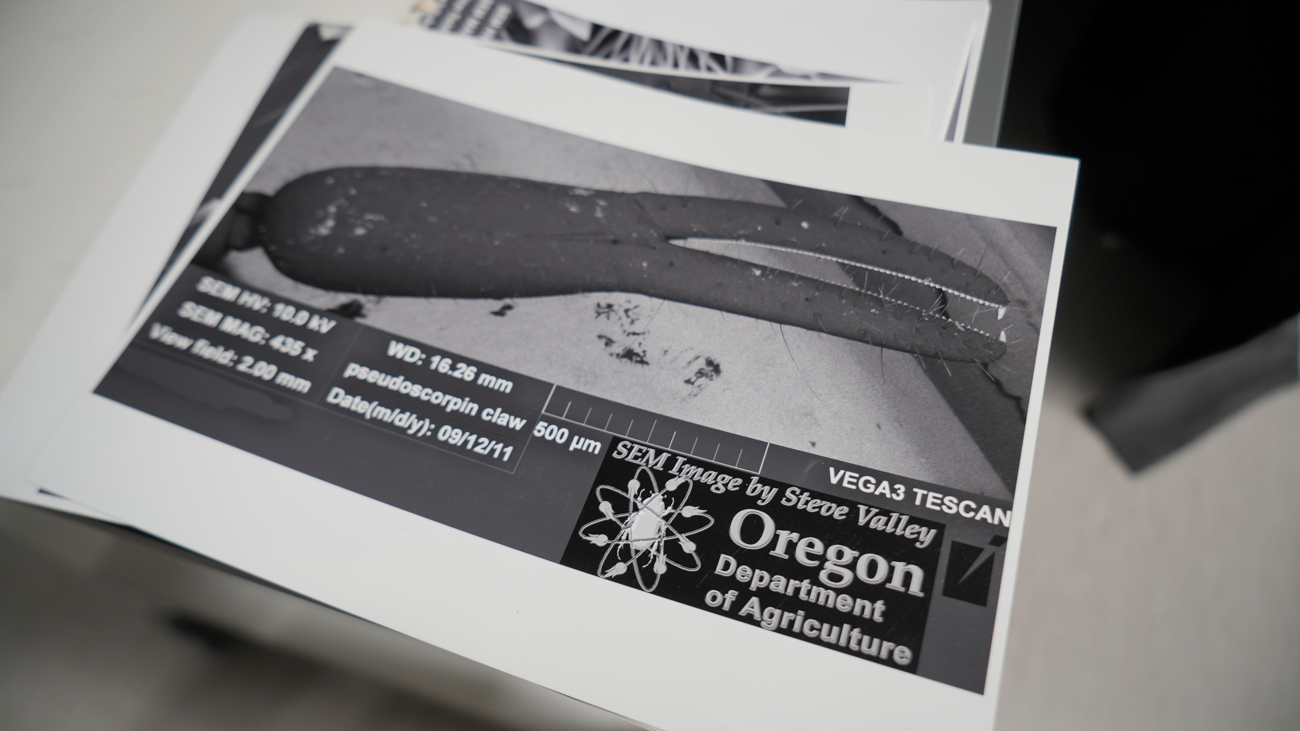 North Valley Complex - oregonlive.com