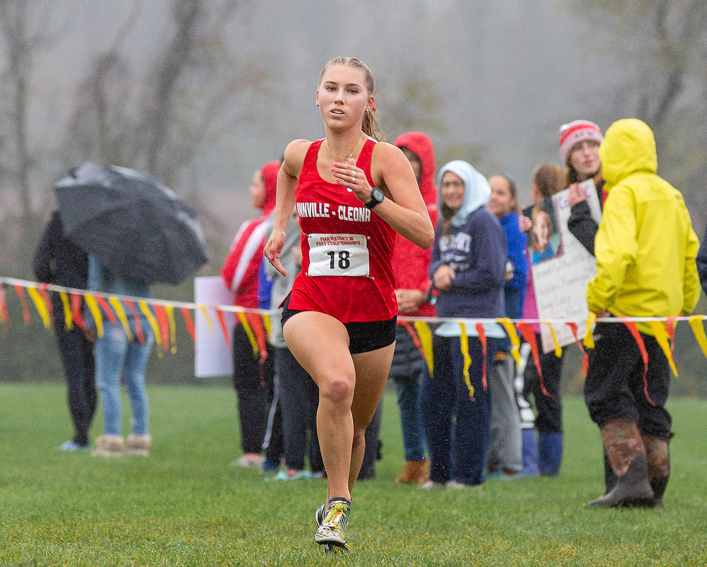 2021 PIAA District 3 girls cross country championships - pennlive.com