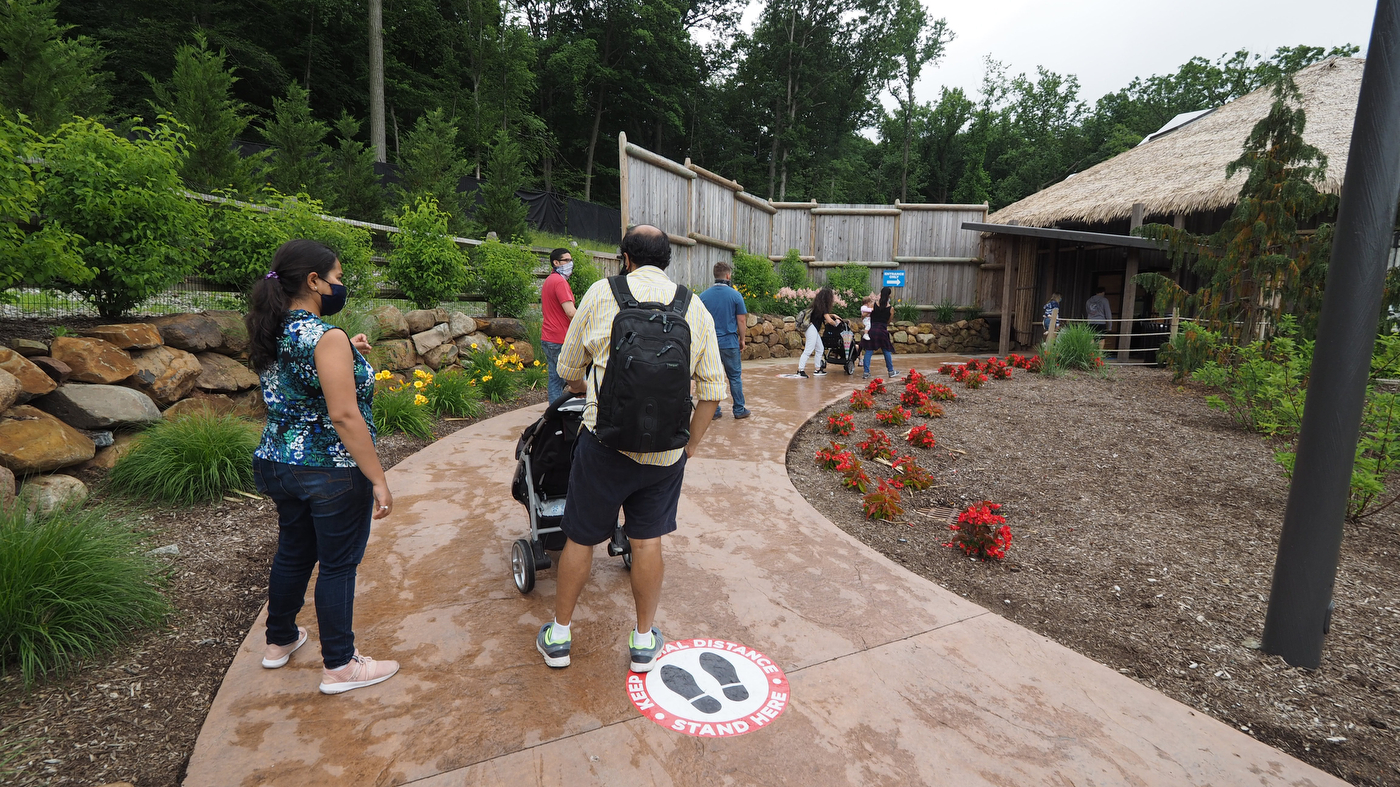 Turtle Back Zoo reopens after pandemic restrictions lifted - nj.com