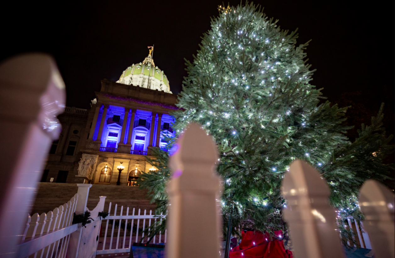 Lighting of 2020 Pa. Capitol Christmas tree - pennlive.com