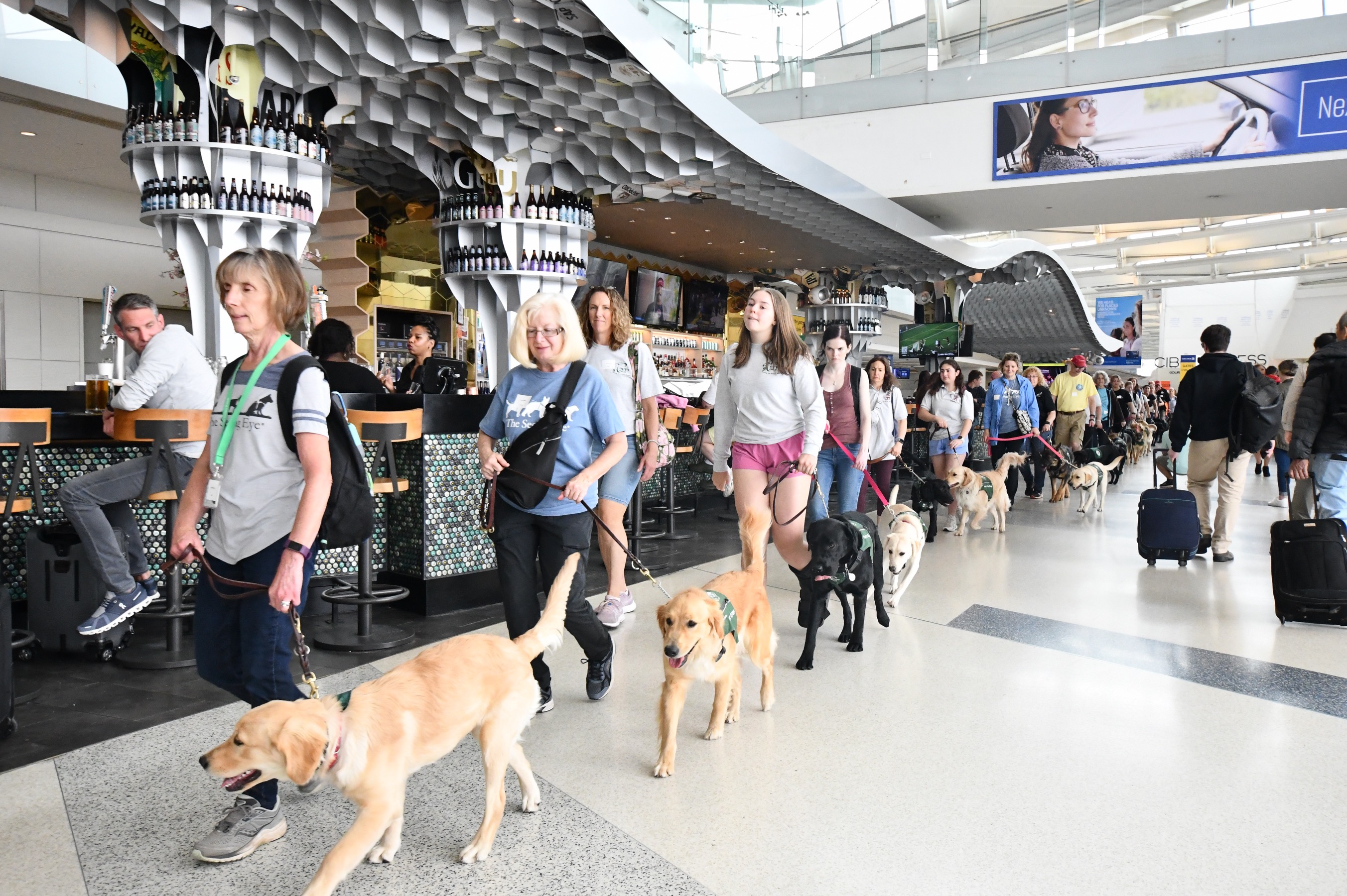 Port Authority hosts guide dog training at Newark Airport - silive.com