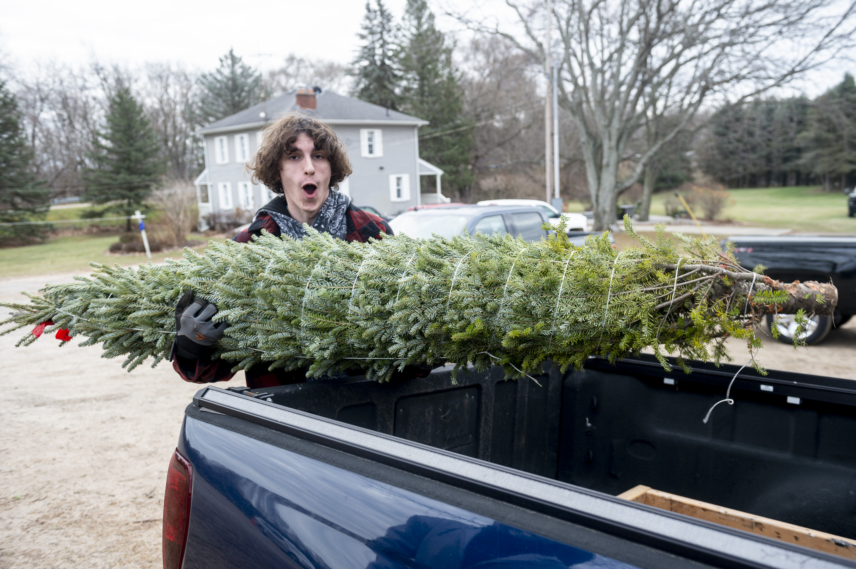 Arend Tree Farm continues four-generation tradition of Christmas U-Cut ...