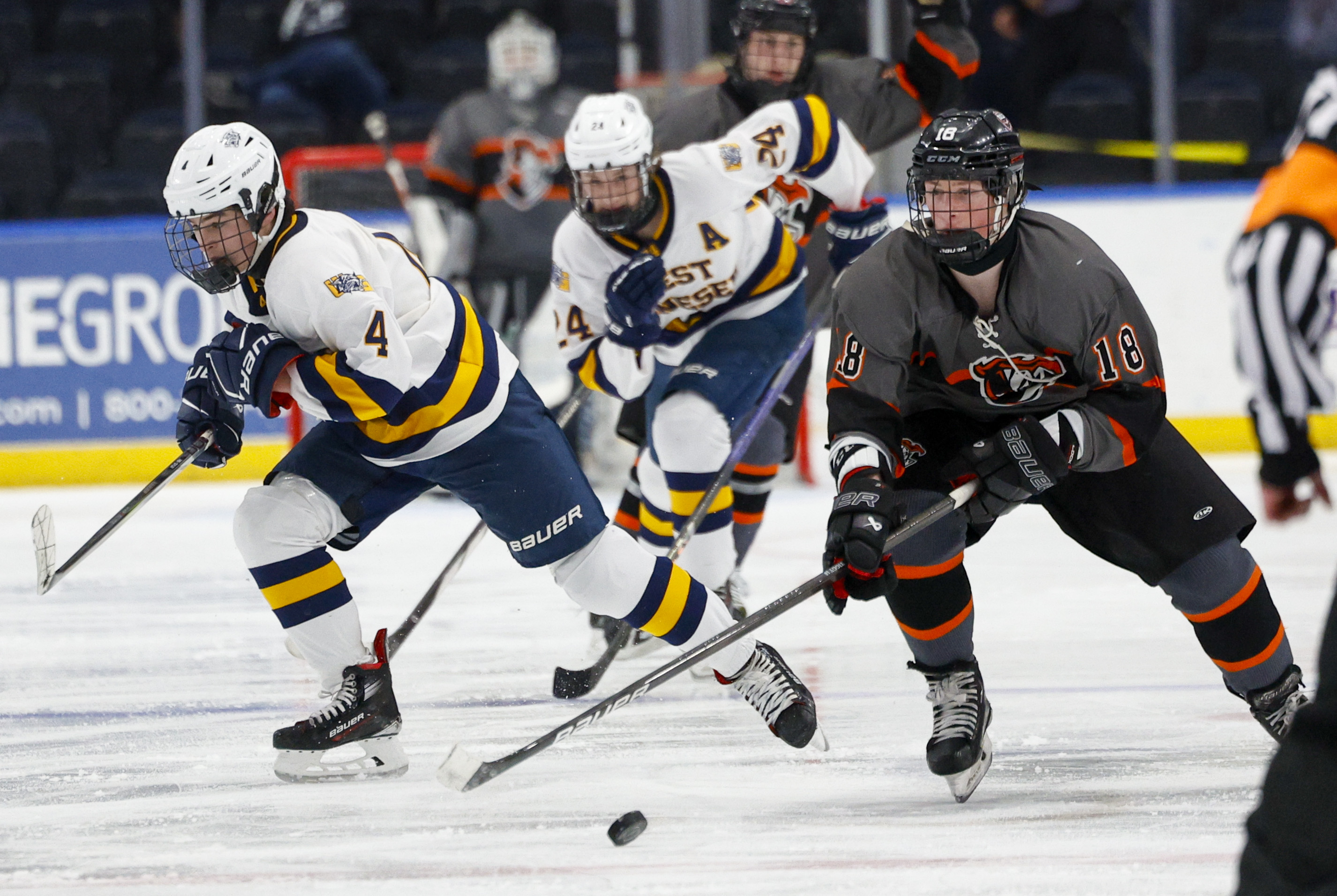 West Genesee hockey seizes the State Championship for Section III ...