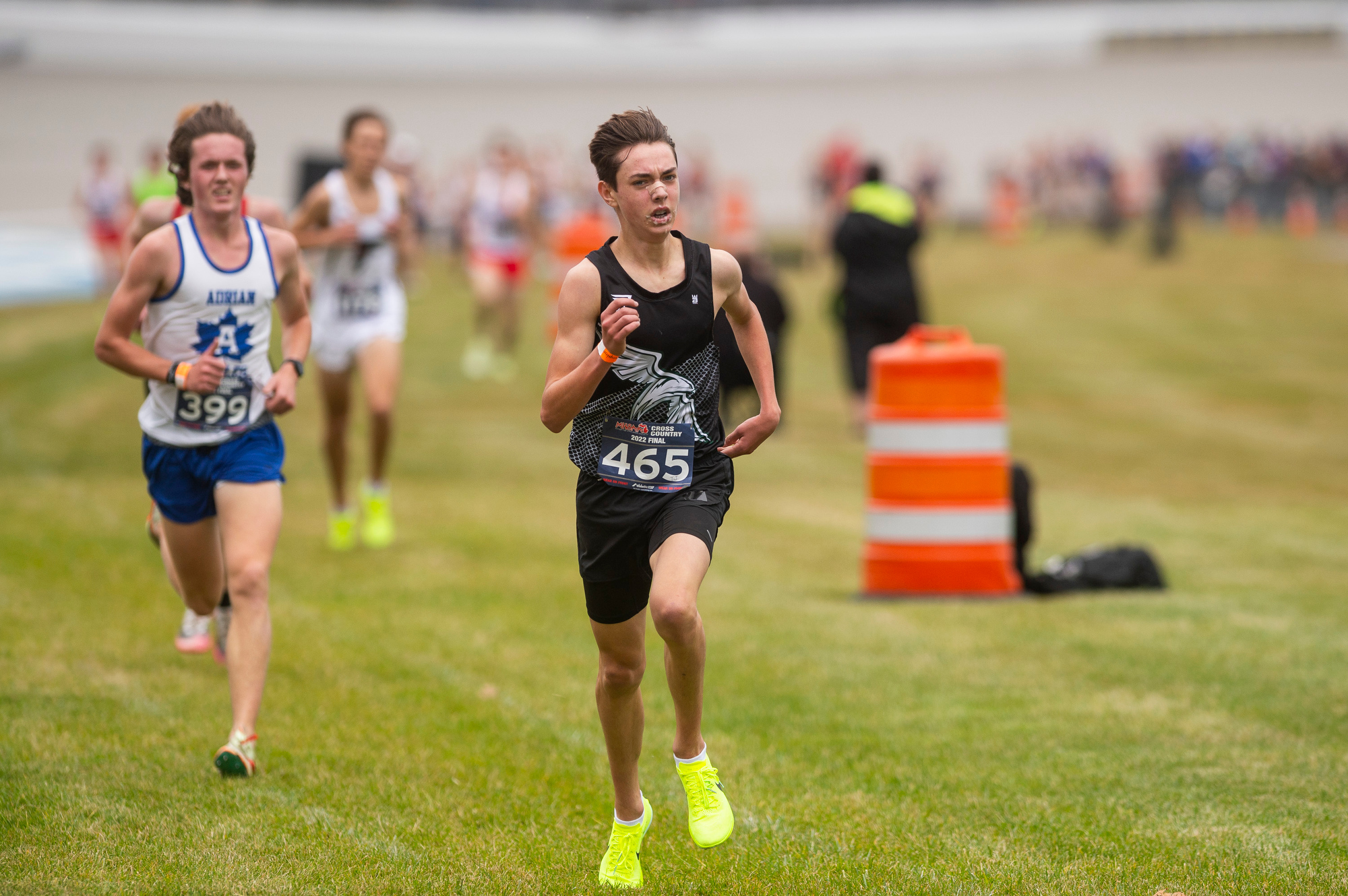 Division 2 boys Michigan state cross country championships 2022 - mlive.com