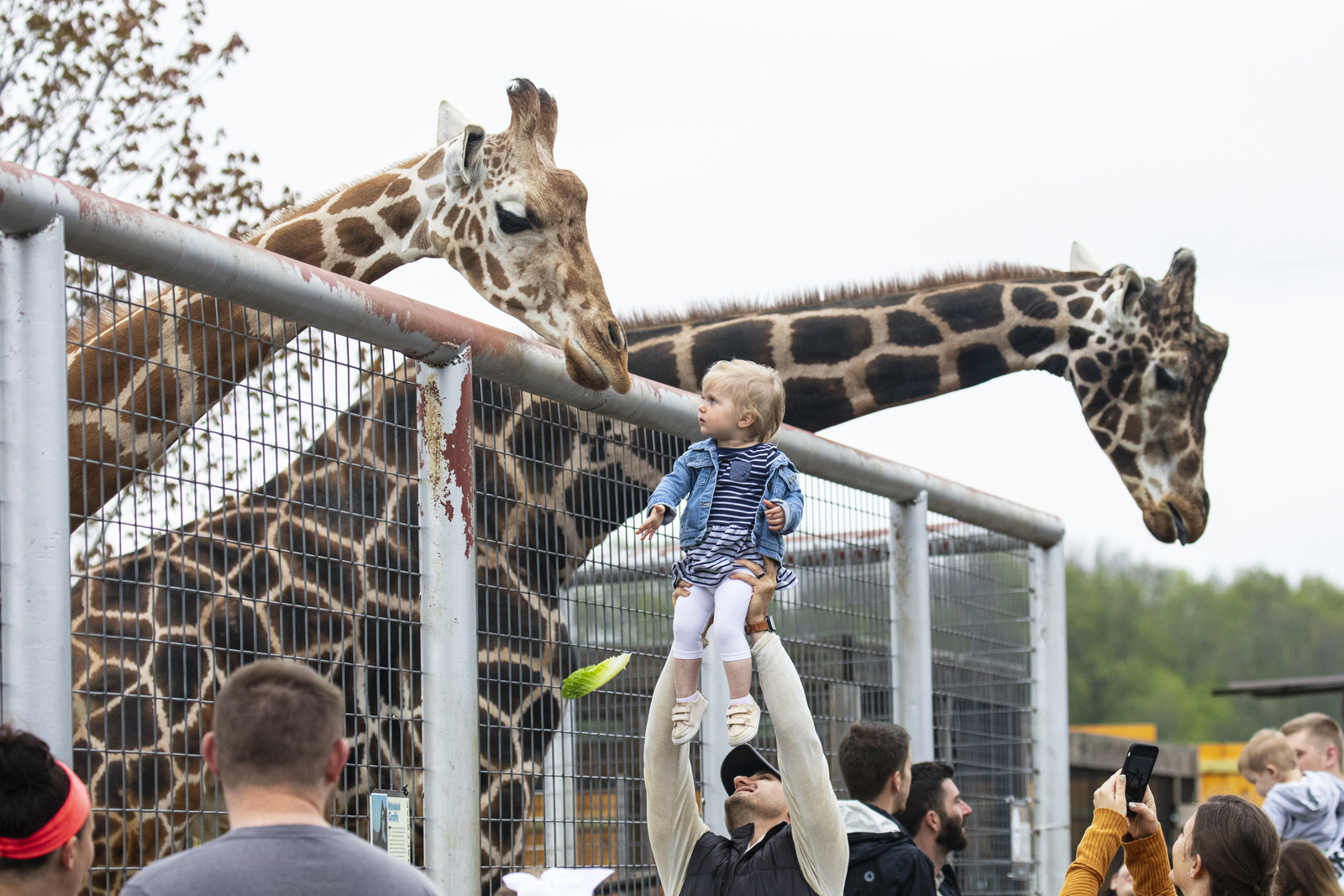 Boulder Ridge Wild Animal Park opens to the public - mlive.com