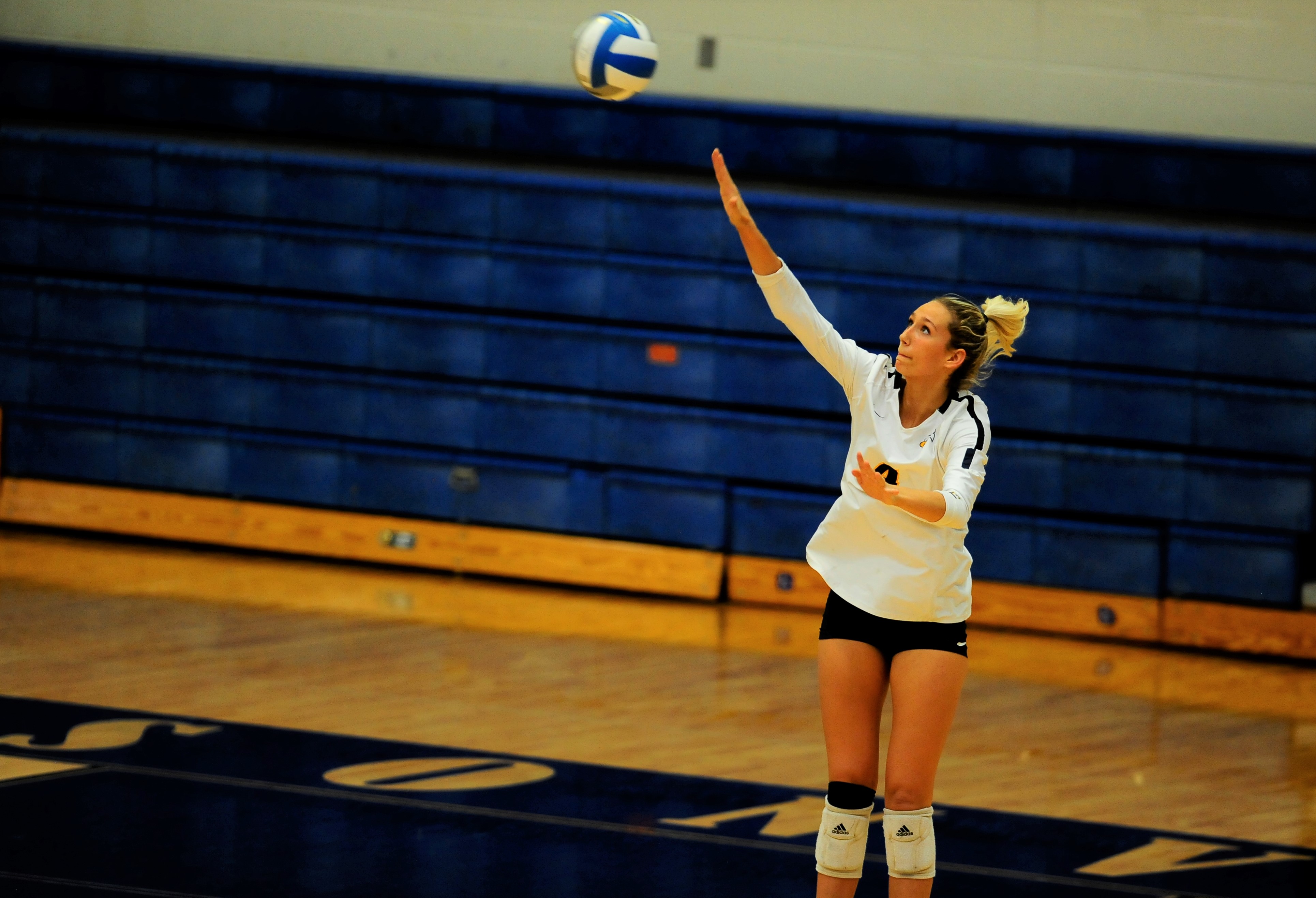 Hudsonville defeats Portage Northern for volleyball regional title ...