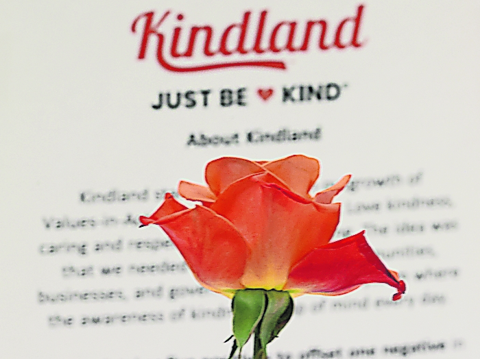 kindland - cleveland.com
