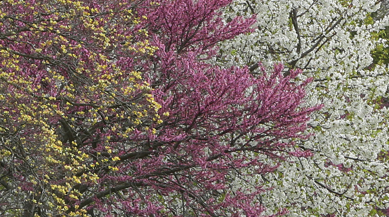 Spring is in the Northeast Ohio air 2022 - cleveland.com