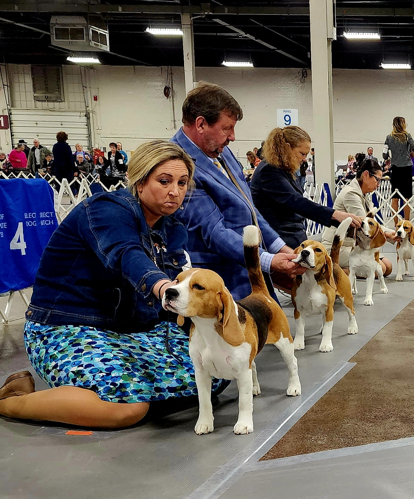 Thanksgiving Classic Cluster Dog Shows a howling success on grounds of ...