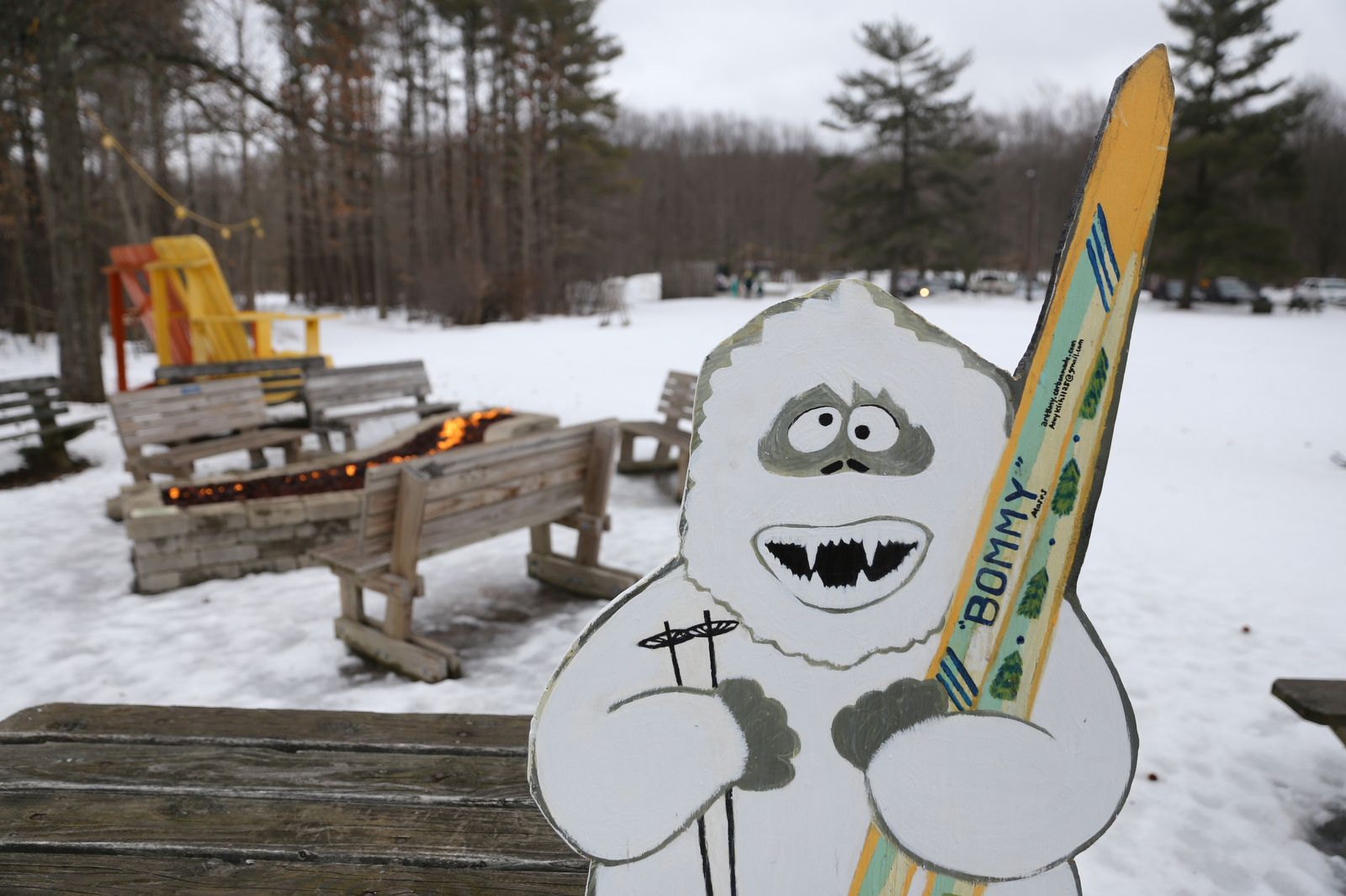 Cross-country skiing and snowshoeing around Northeast Ohio - cleveland.com