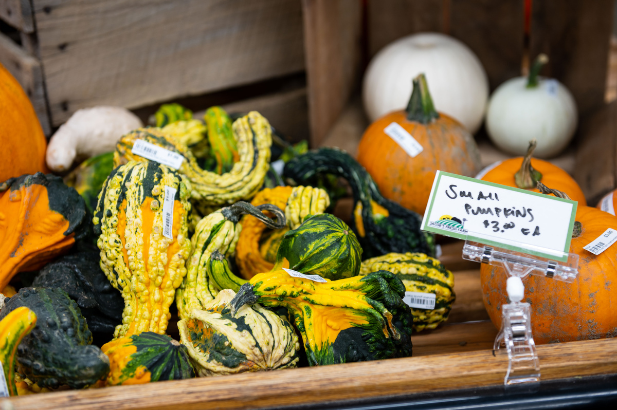 Manchester Market opens, bringing local grocery, butcher shop back to ...