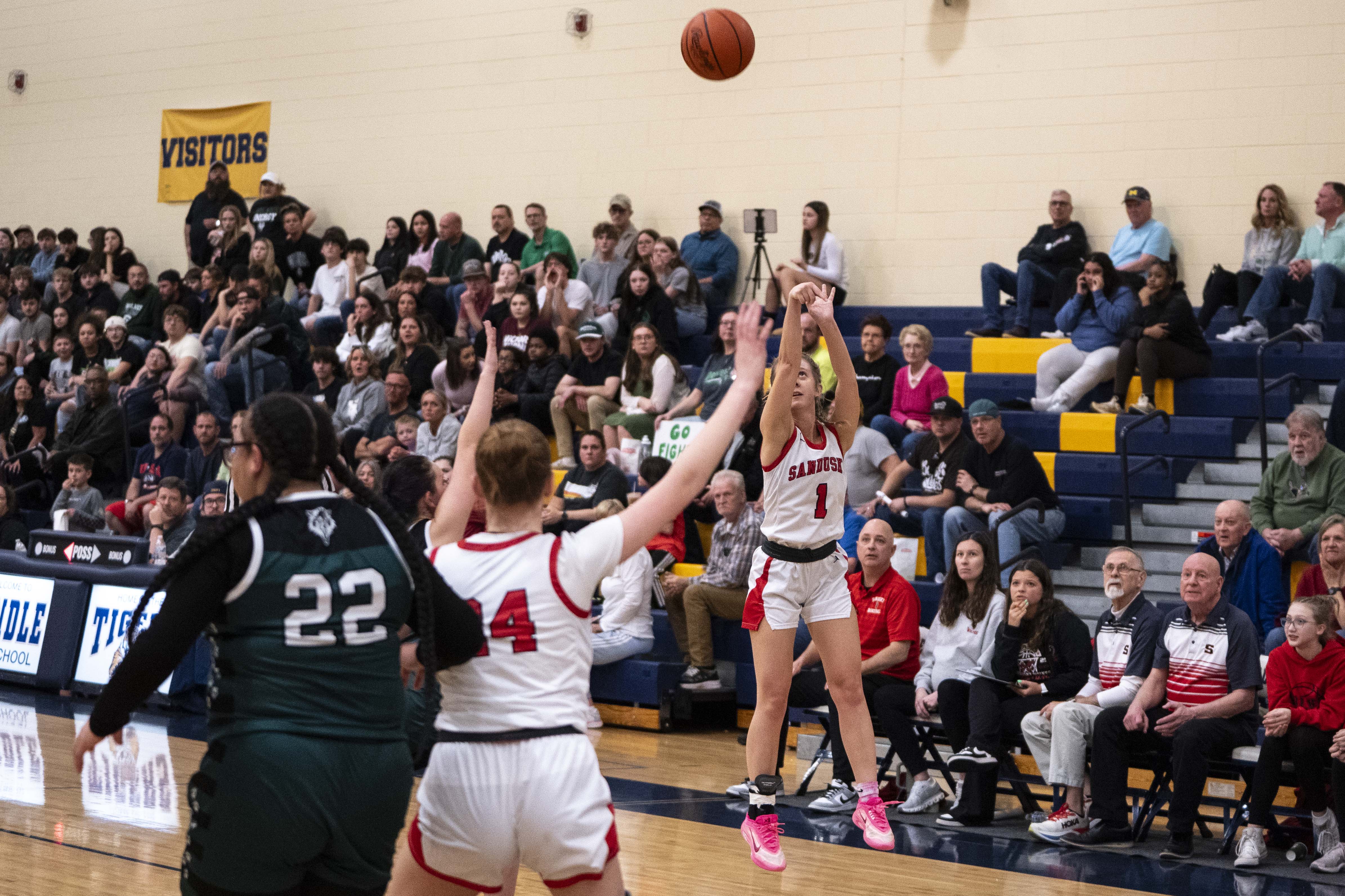 Genesee and Sandusky battle for regional semifinal - mlive.com