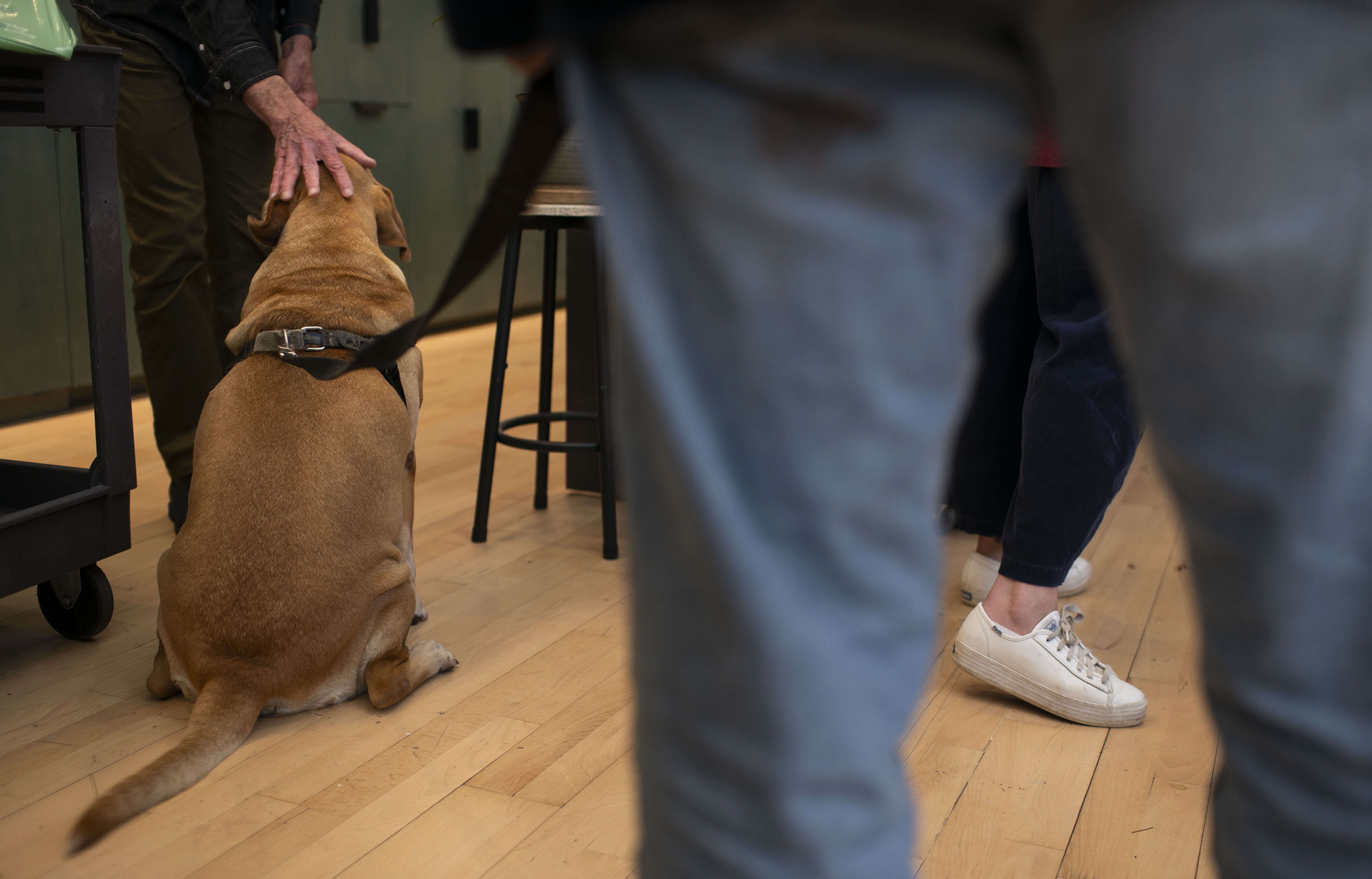 Season of Sharing 2024: Street Roots - oregonlive.com