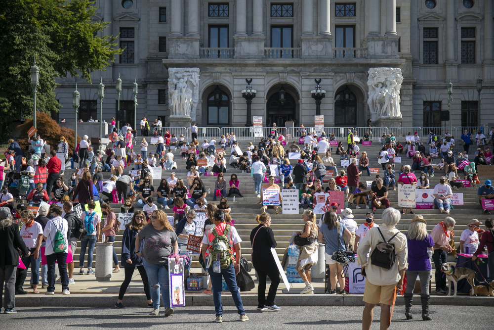Reproductive Right Rally held at Pennsylvania Capitol Saturday ...