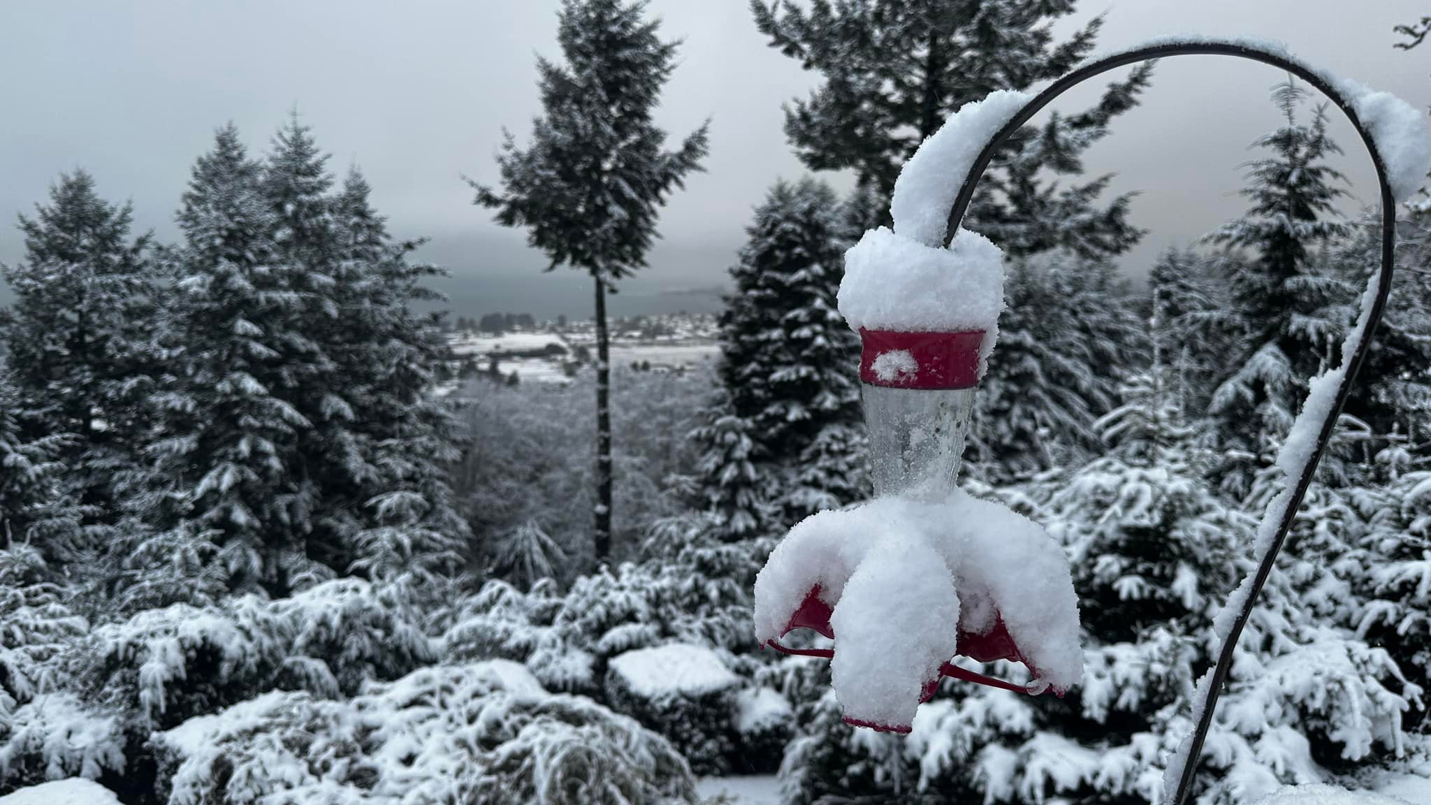 Rare snowfall hits Oregon coast - oregonlive.com