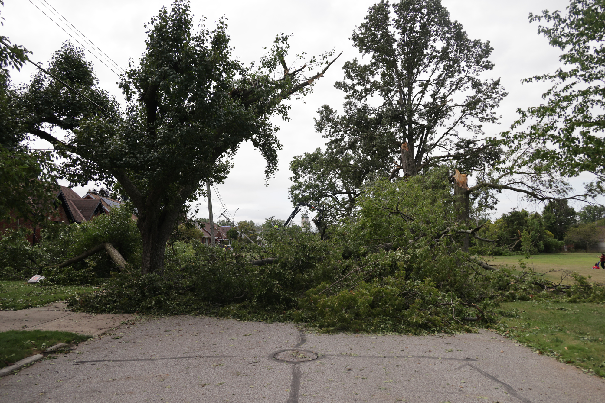 Storm damage around Northeast Ohio, August 7, 2024 - cleveland.com