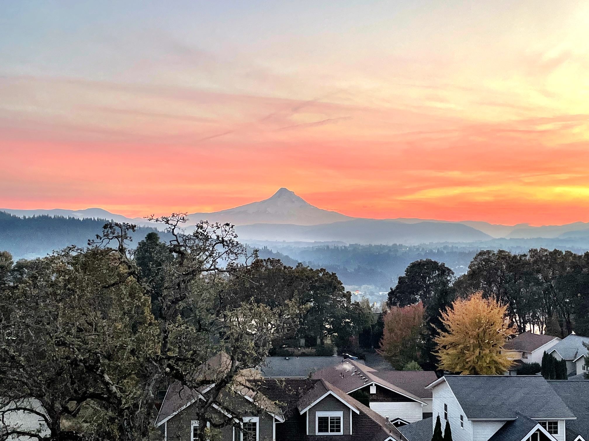 Hotel Iconica - oregonlive.com