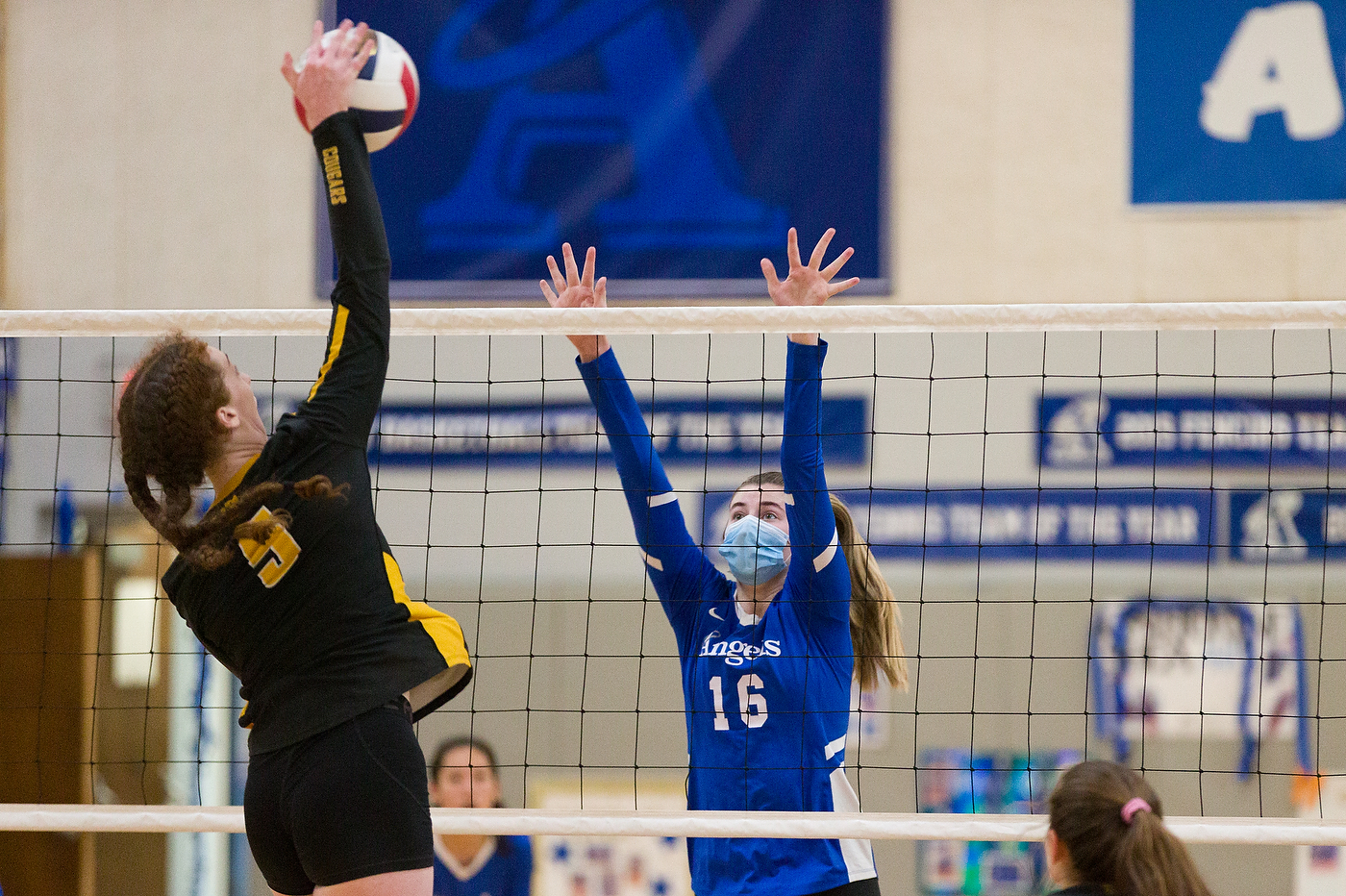 Girls Volleyball: Cresskill vs. Holy Angels - nj.com