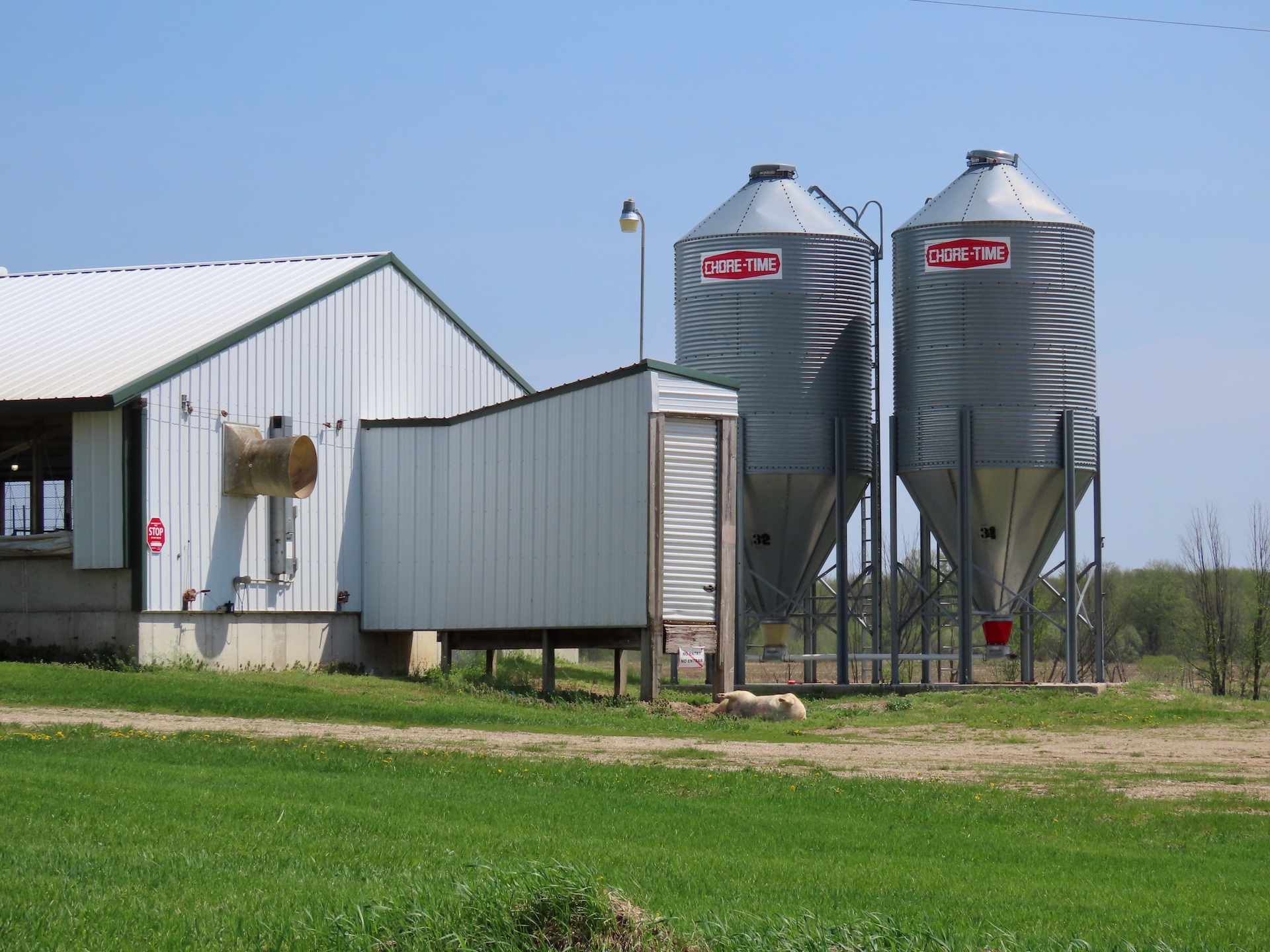 Michigan investigates PFAS at hog farms - mlive.com