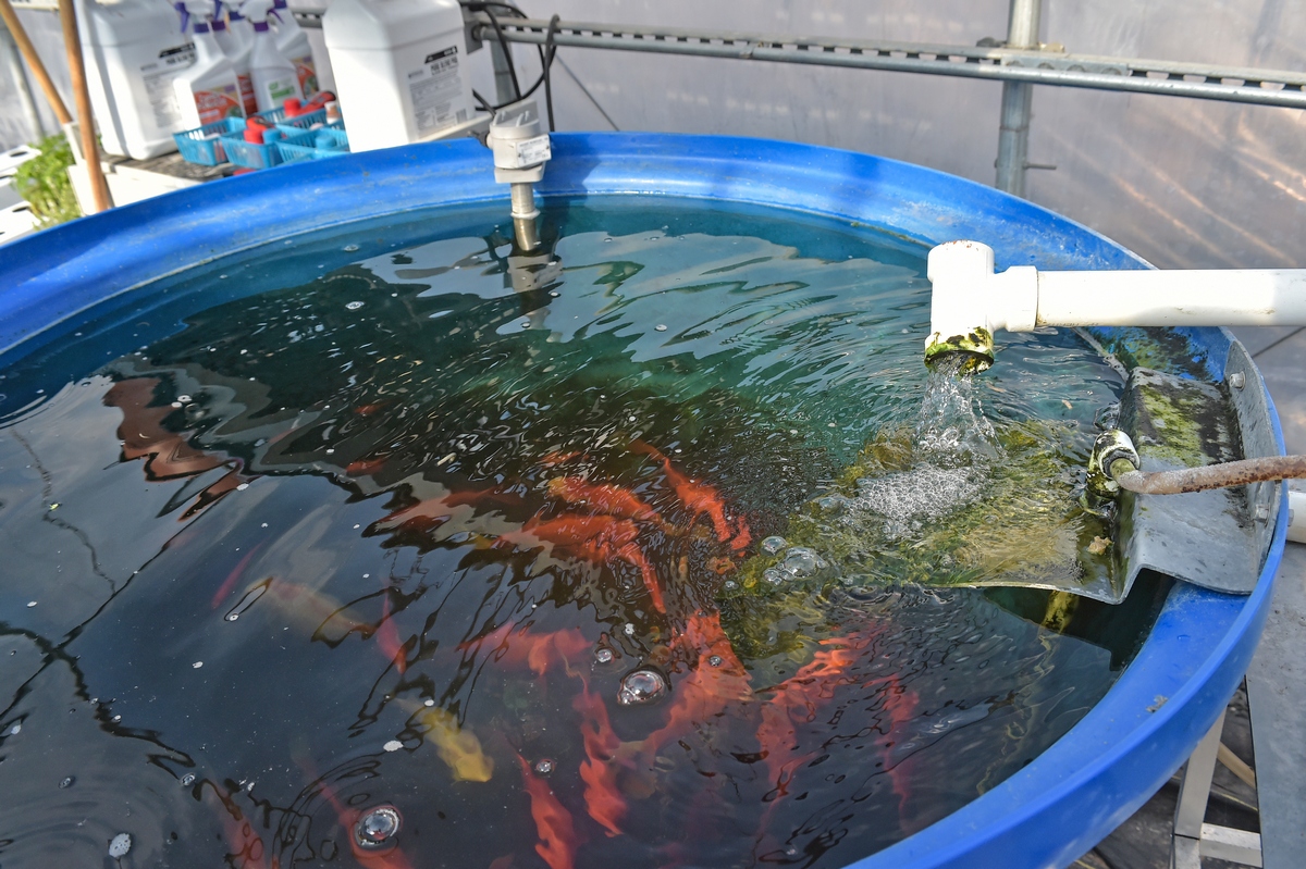 Westfield Technical Academy horticultural preps for spring - masslive.com