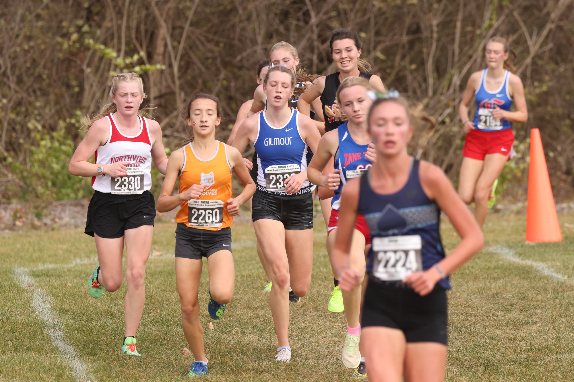 Division II Ohio High School Cross Country Championships 2022 ...