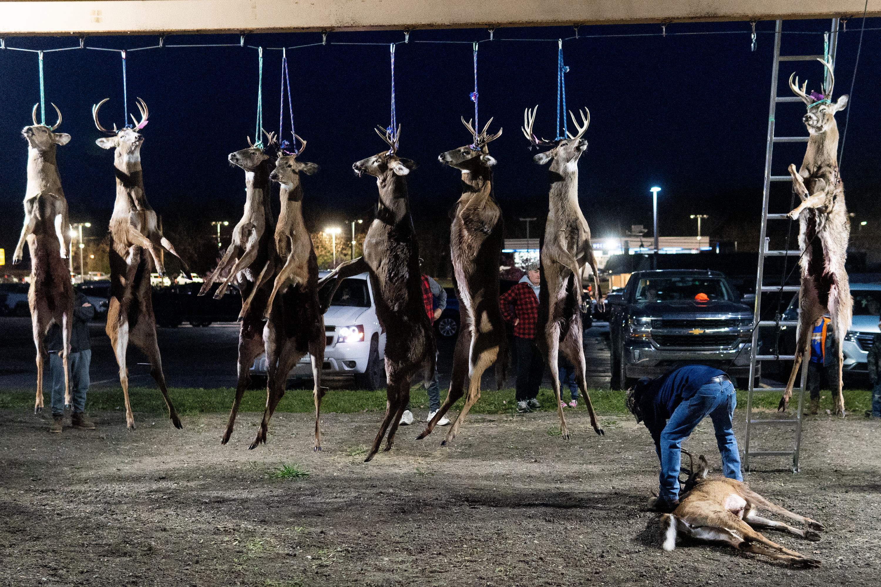 Hunters make their way to the buck poles on opening day - mlive.com