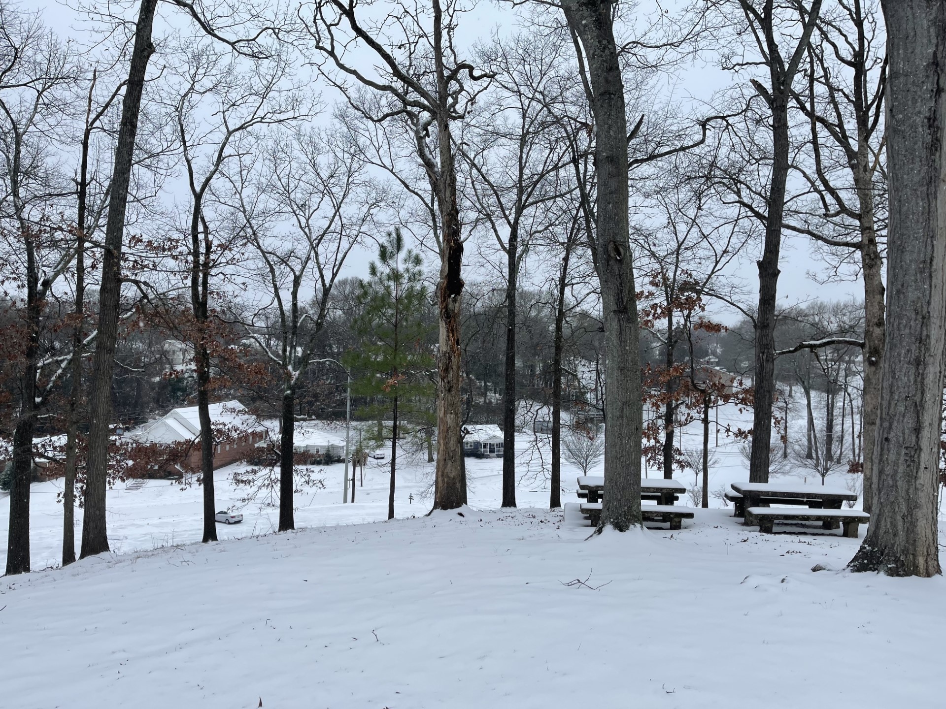 Alabama snow January 2024 - al.com