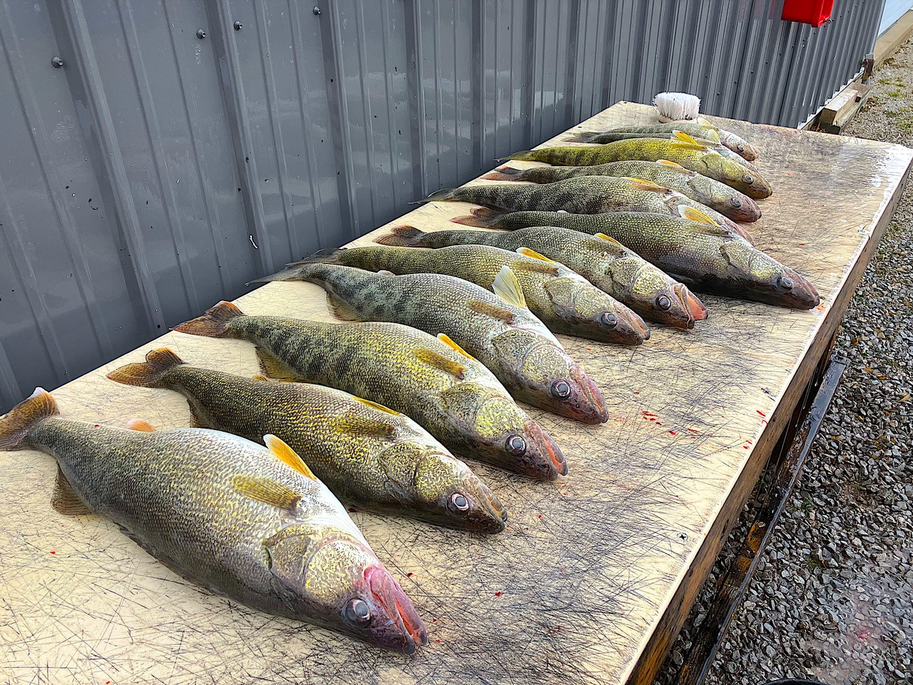 Ohio Hunting, Fishing, Outdoor Sports | The Great Outdoors - Cleveland.com