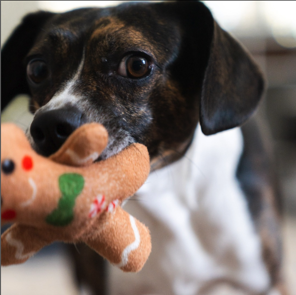 Makers Fair Holiday Market - oregonlive.com